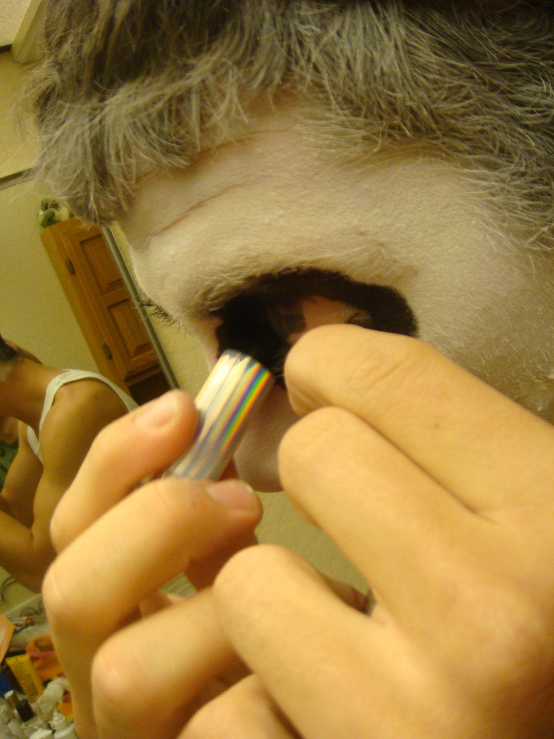 DIY Joker Makeup (The Dark Knight) : 10 Steps (with Pictures ...