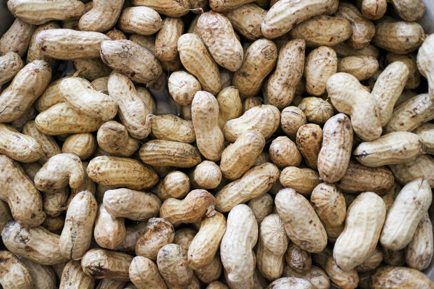 Boiled Peanuts : 7 Steps (with Pictures) - Instructables