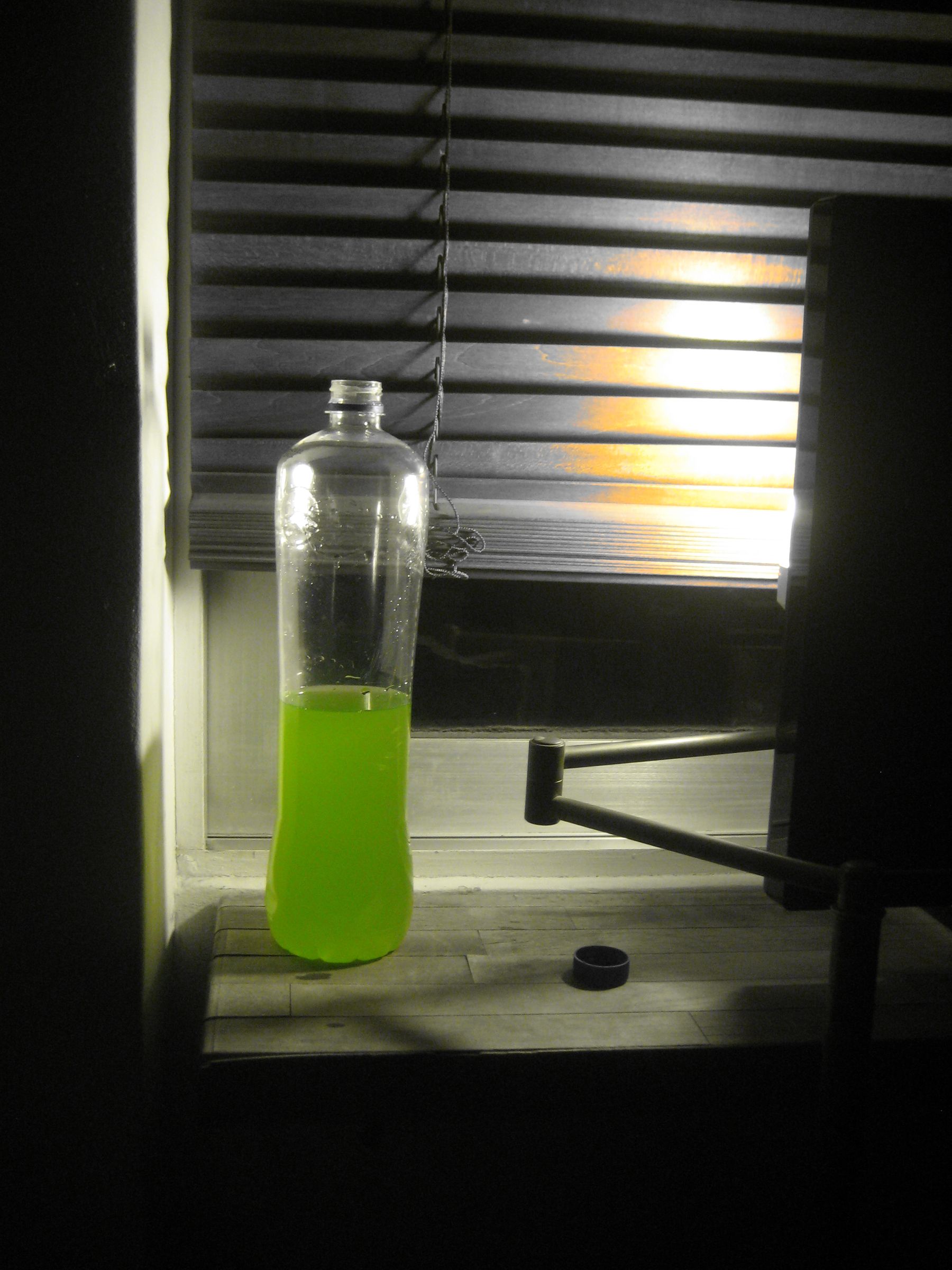 The Algae Experiment: How to Build Your Own Algae Photo-bioreactor ...