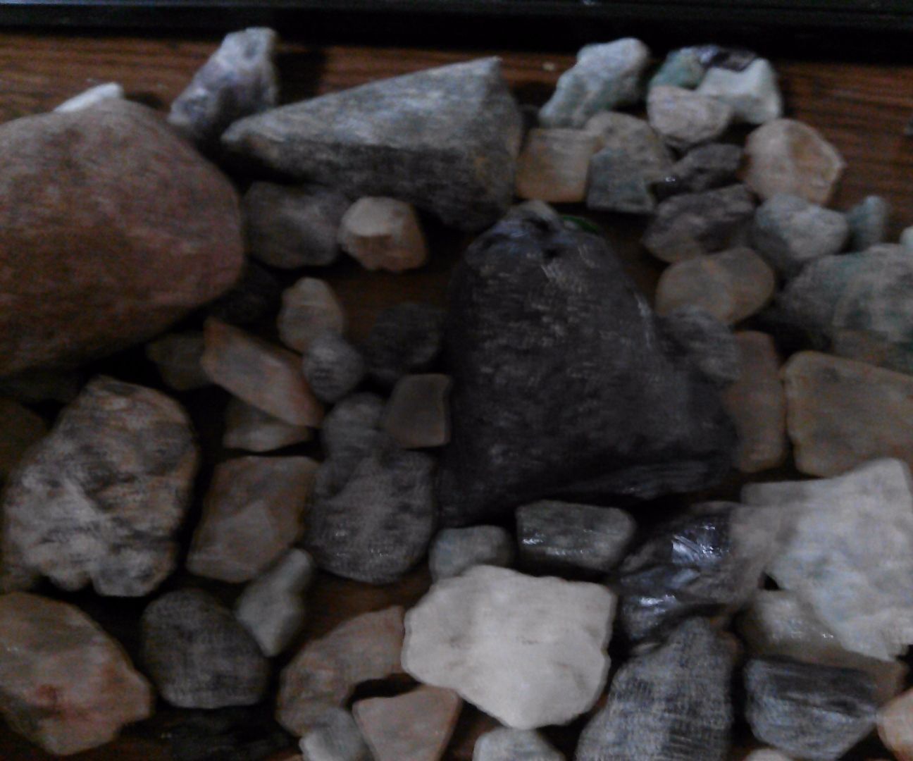 Simple Trap (with Sauce Packet) : 5 Steps - Instructables