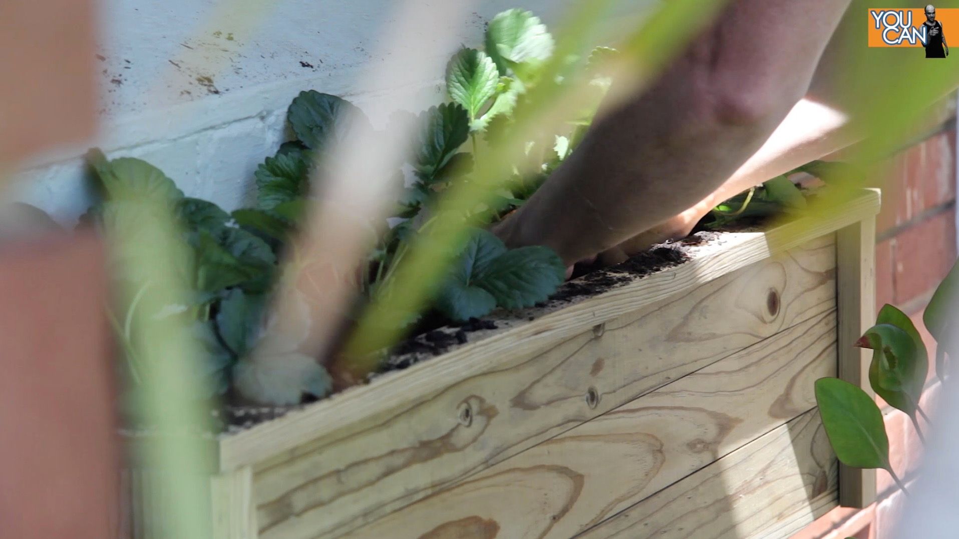 DIY Window Planter Box : 4 Steps (with Pictures) - Instructables