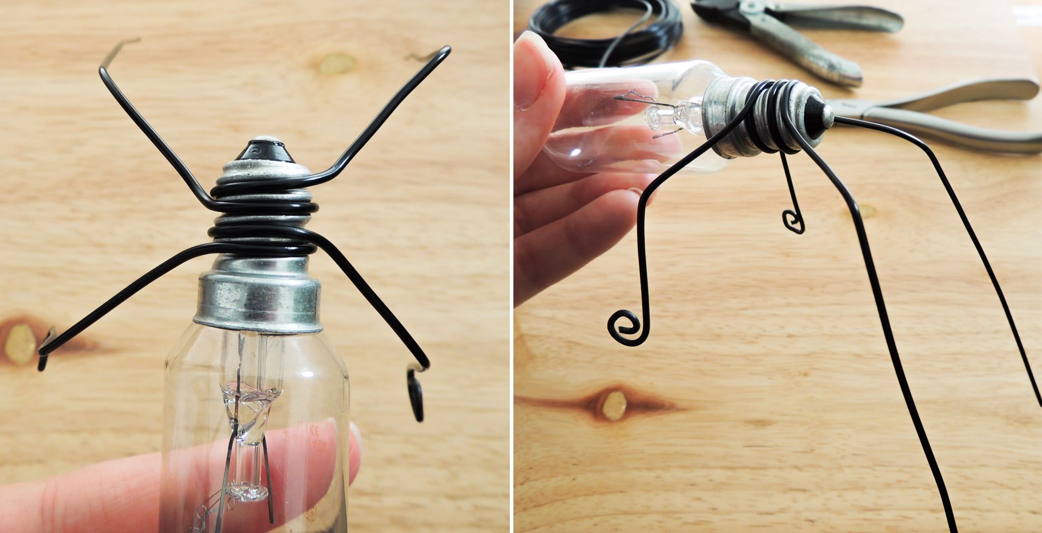 DIY Light Bulb Bugs : 6 Steps (with Pictures) - Instructables