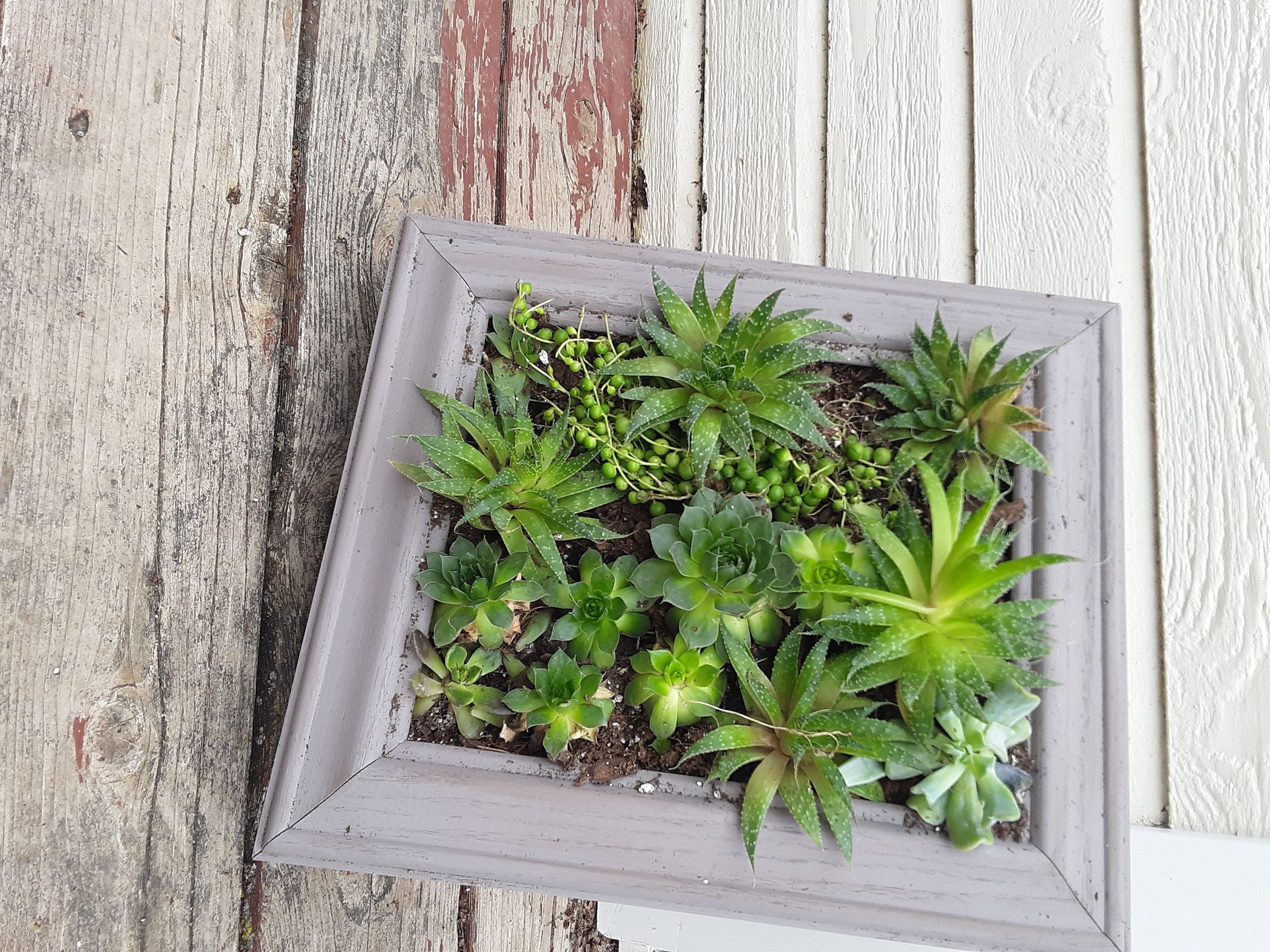 Living Picture Frame : 9 Steps (with Pictures) - Instructables
