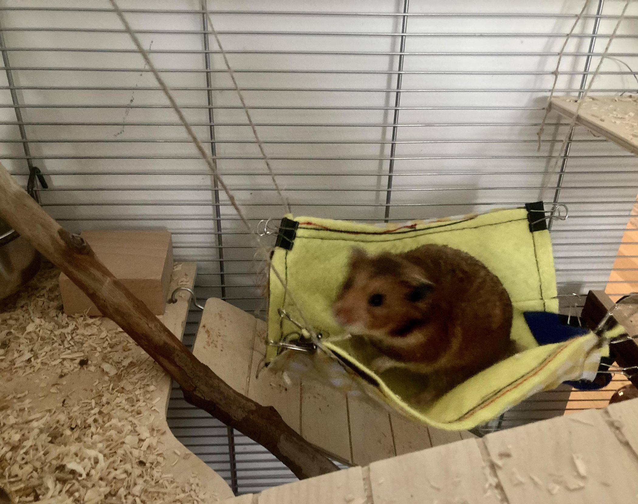 How to Make a Hamster Playground — E-Textiles Tutorial : 16 Steps (with ...