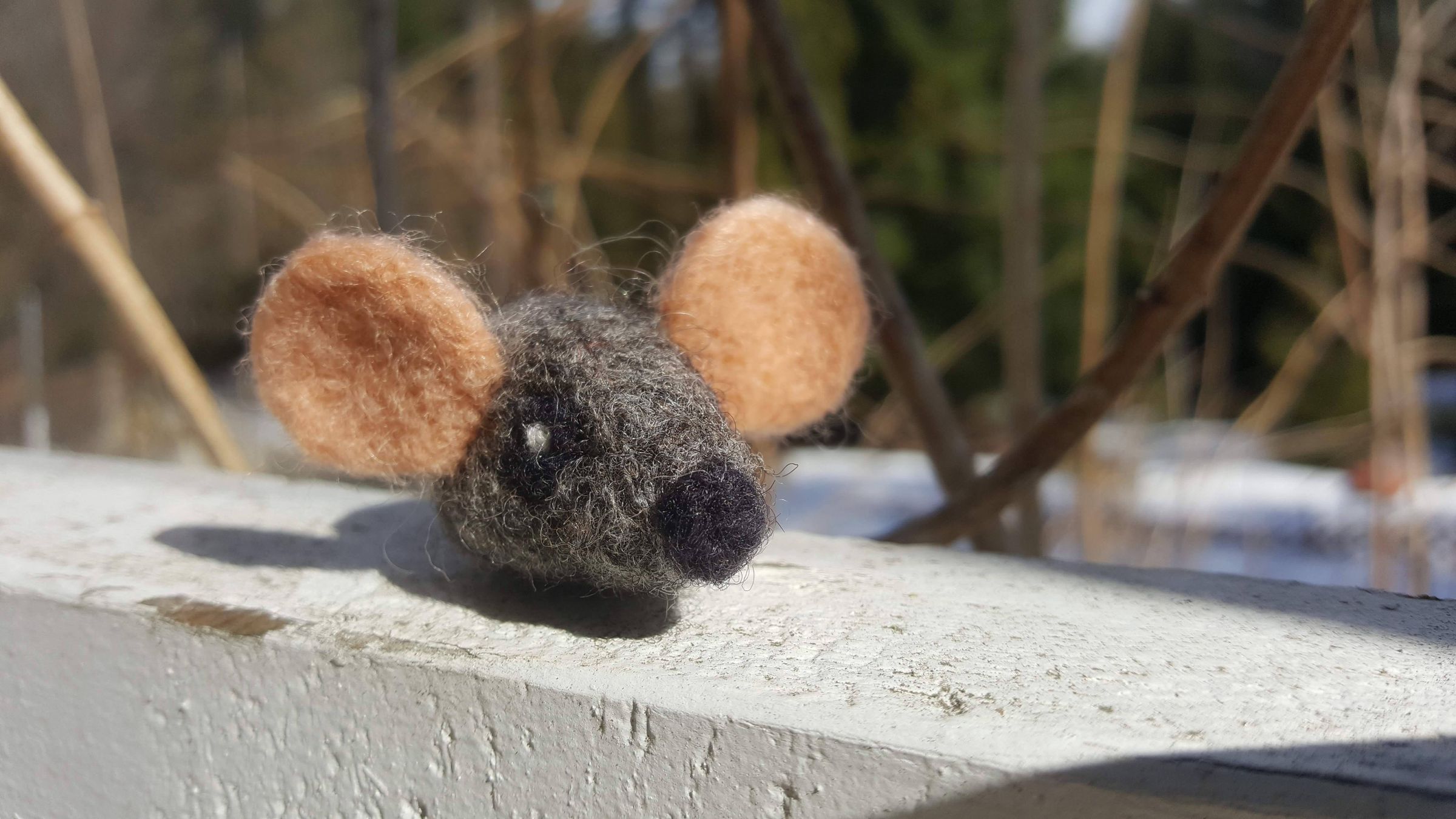 Needle Felted Catnip Mouse Toy : 7 Steps (with Pictures) - Instructables