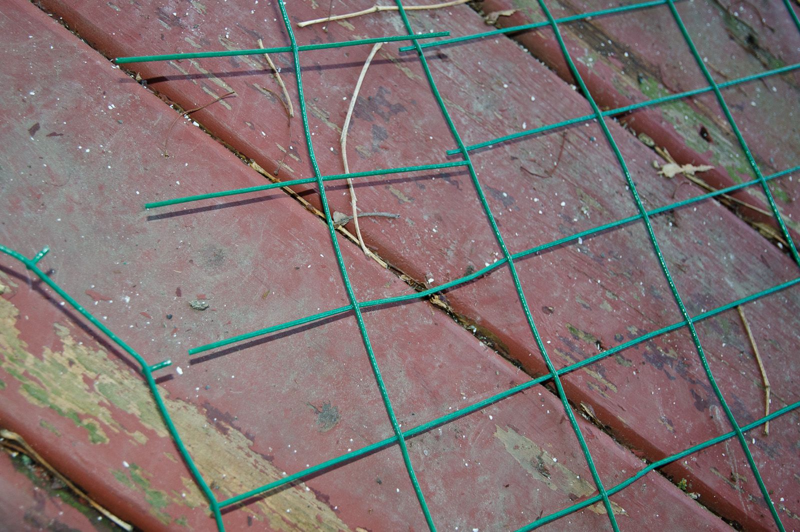 DIY Bird Spikes : 7 Steps (with Pictures) - Instructables