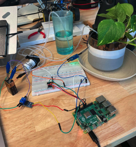 Build Your Own Plant Watering Robot With a Raspberry Pi : 3 Steps - Instructables