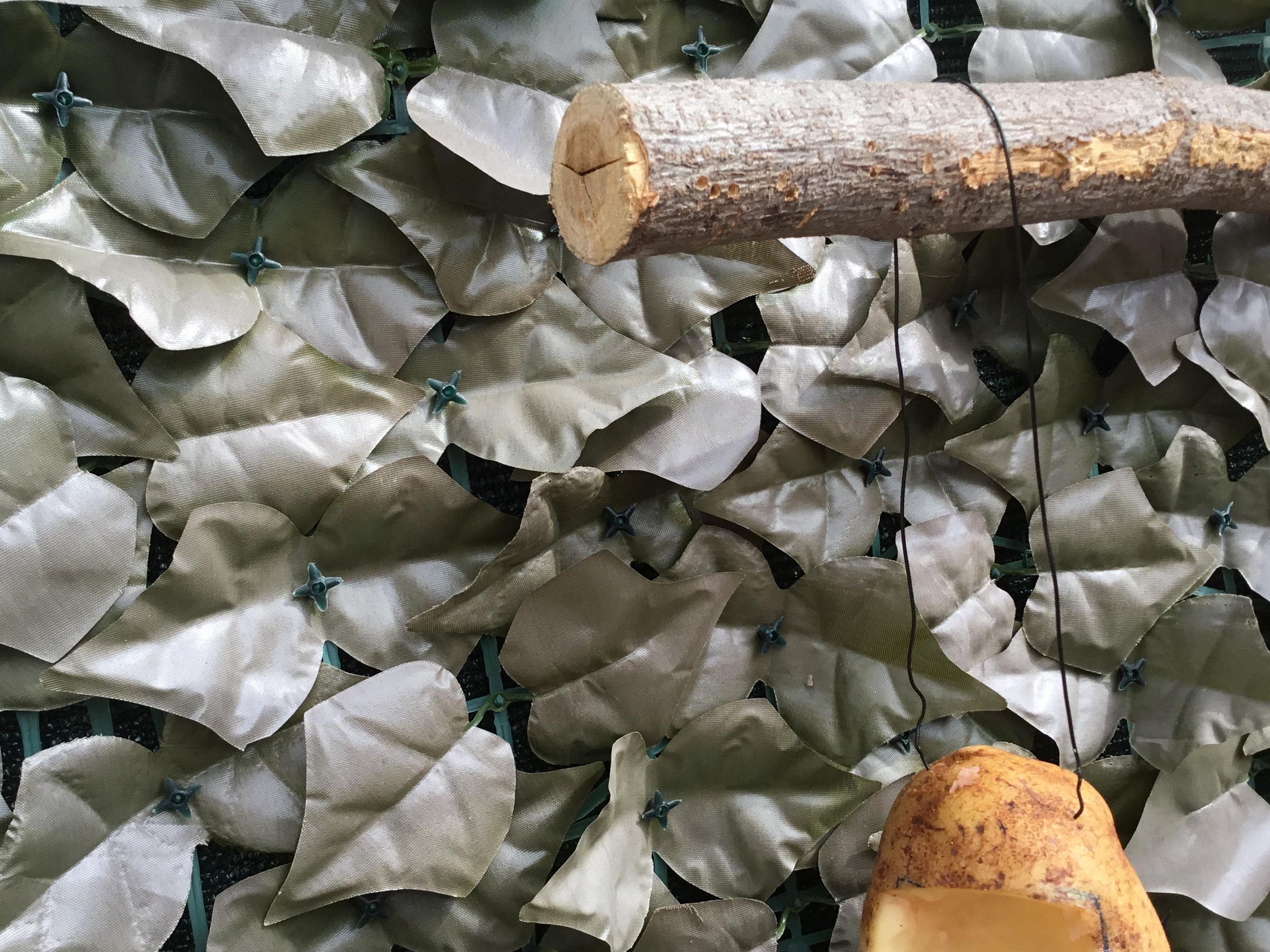 🦜🦜🥔🥔🥔🥔🥔🥔Potato Bird Feeder (2.0v)🥔🥔🥔🥔🥔🥔🥔🦜🦜 : 7 Steps - Instructables