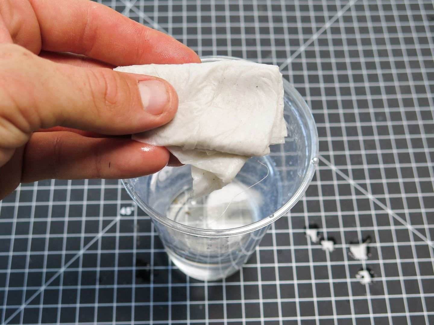 Grow Seeds Without Soil! : 4 Steps (with Pictures) - Instructables