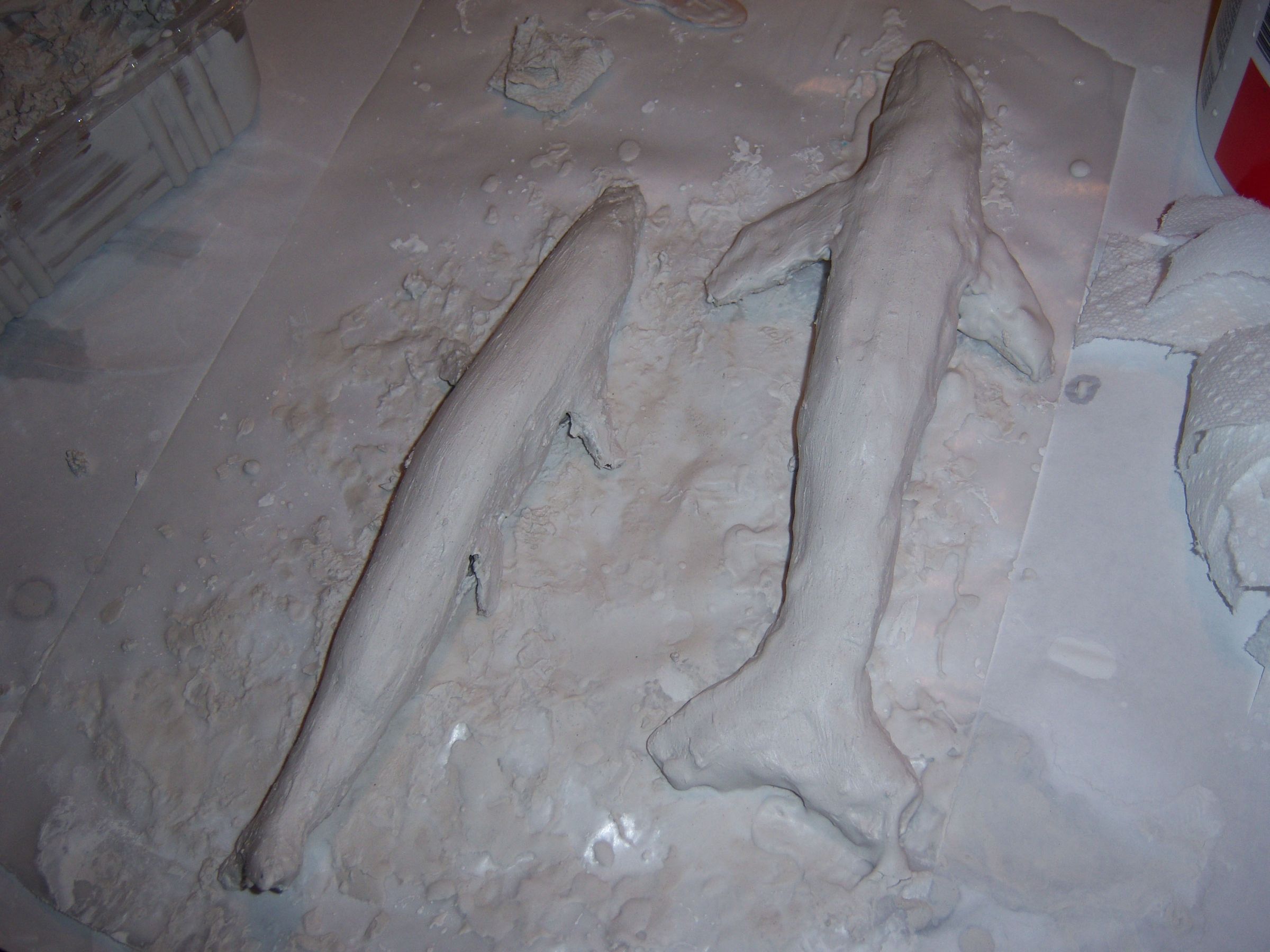 Plaster Models for School Project ("Plaster- Mache") : 7 Steps ...