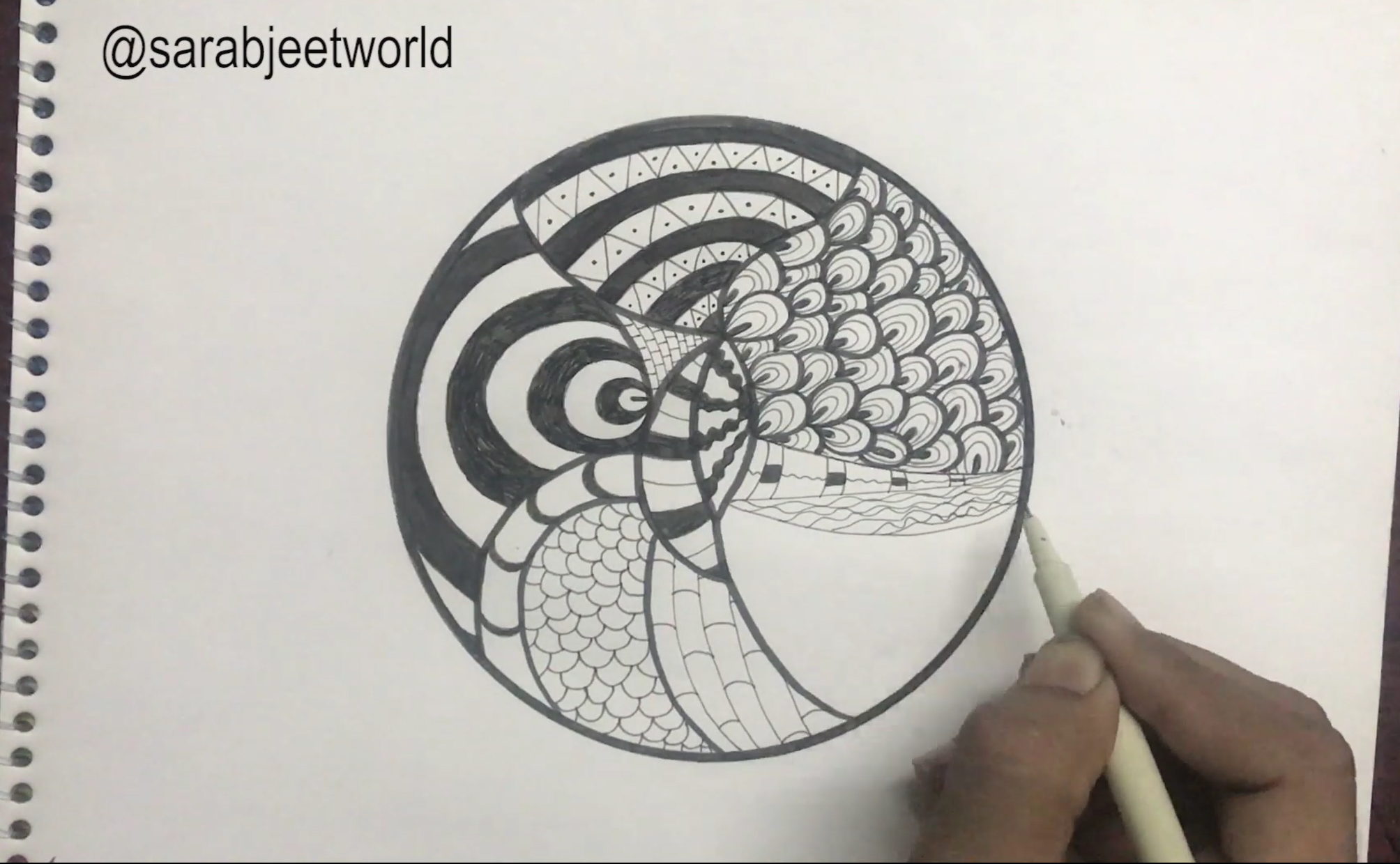How to Draw Complex Zentangle Art for Beginners Learn : 11 Steps ...