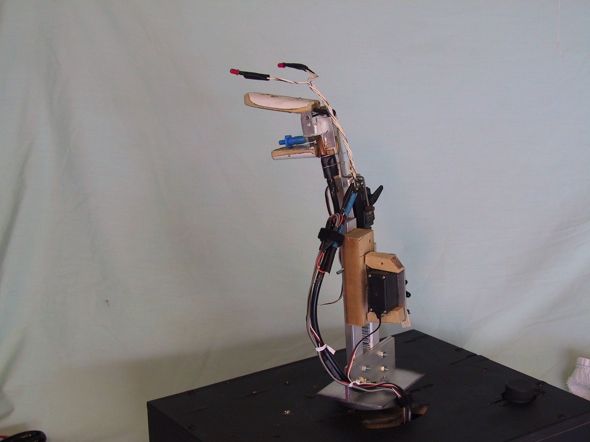 Animatronic Rat : 7 Steps (with Pictures) - Instructables
