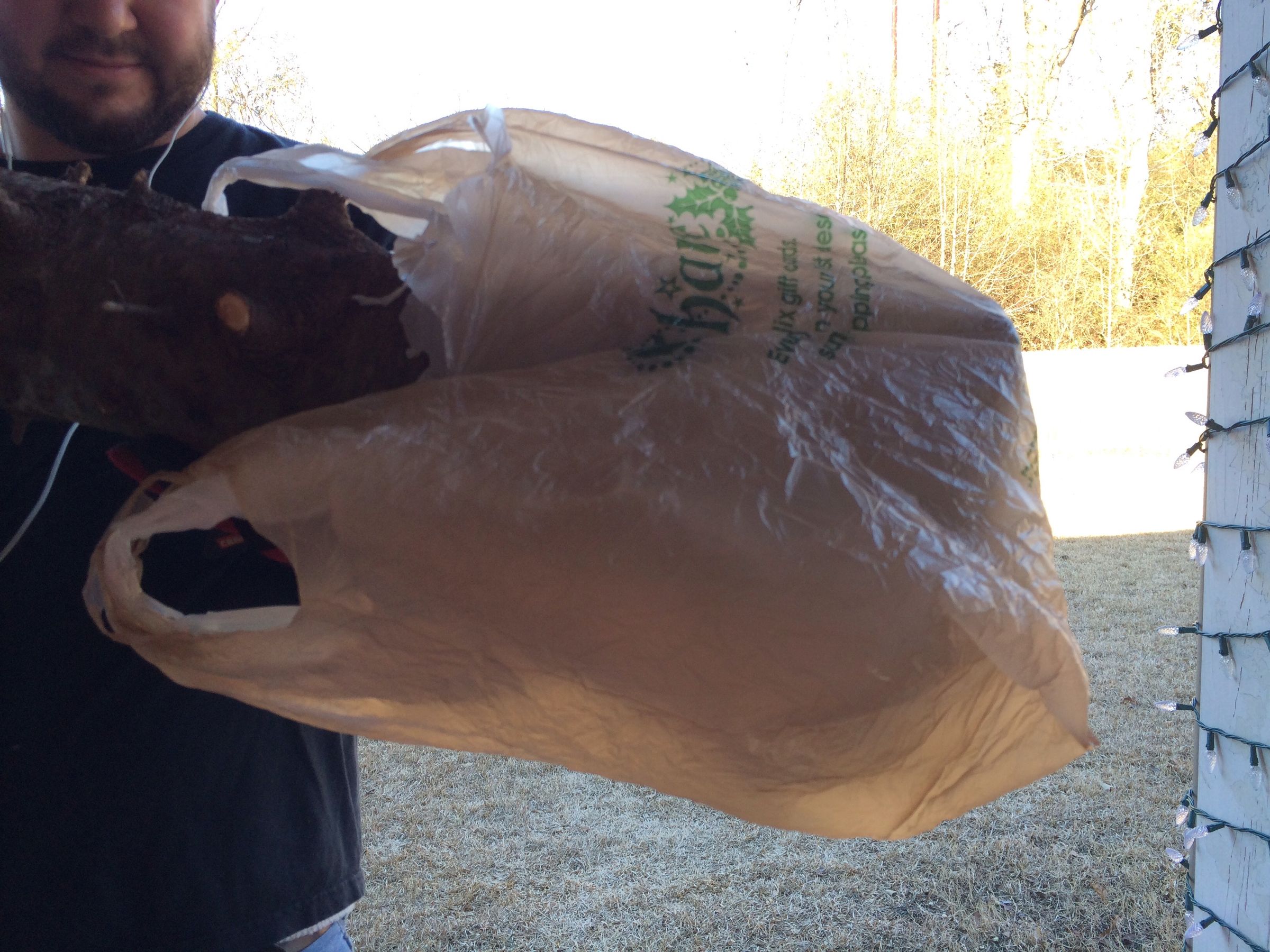 Less Messy Christmas Tree Removal : 8 Steps (with Pictures) - Instructables