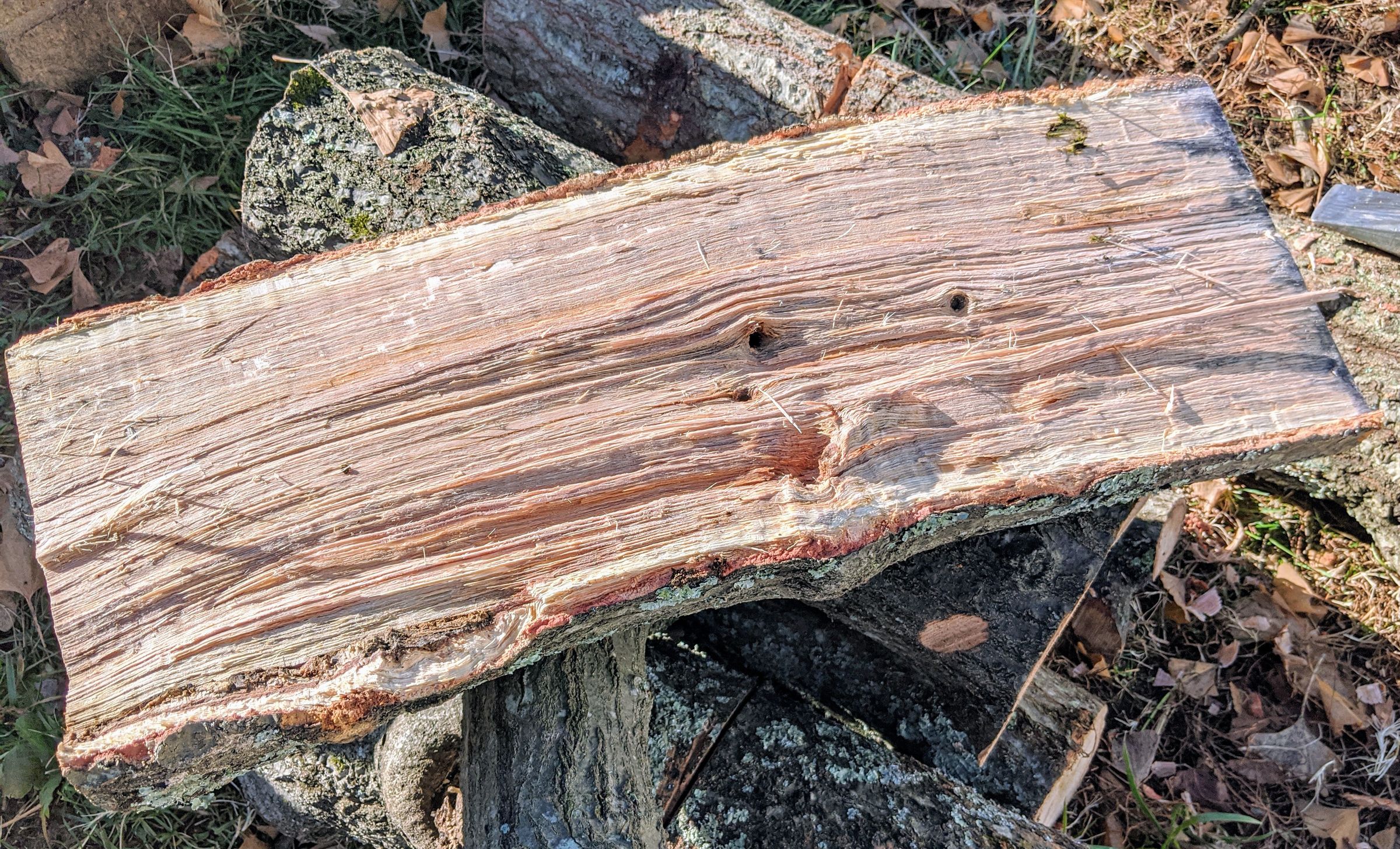 Live Edge Floating Shelf... From Scratch : 14 Steps (with Pictures ...