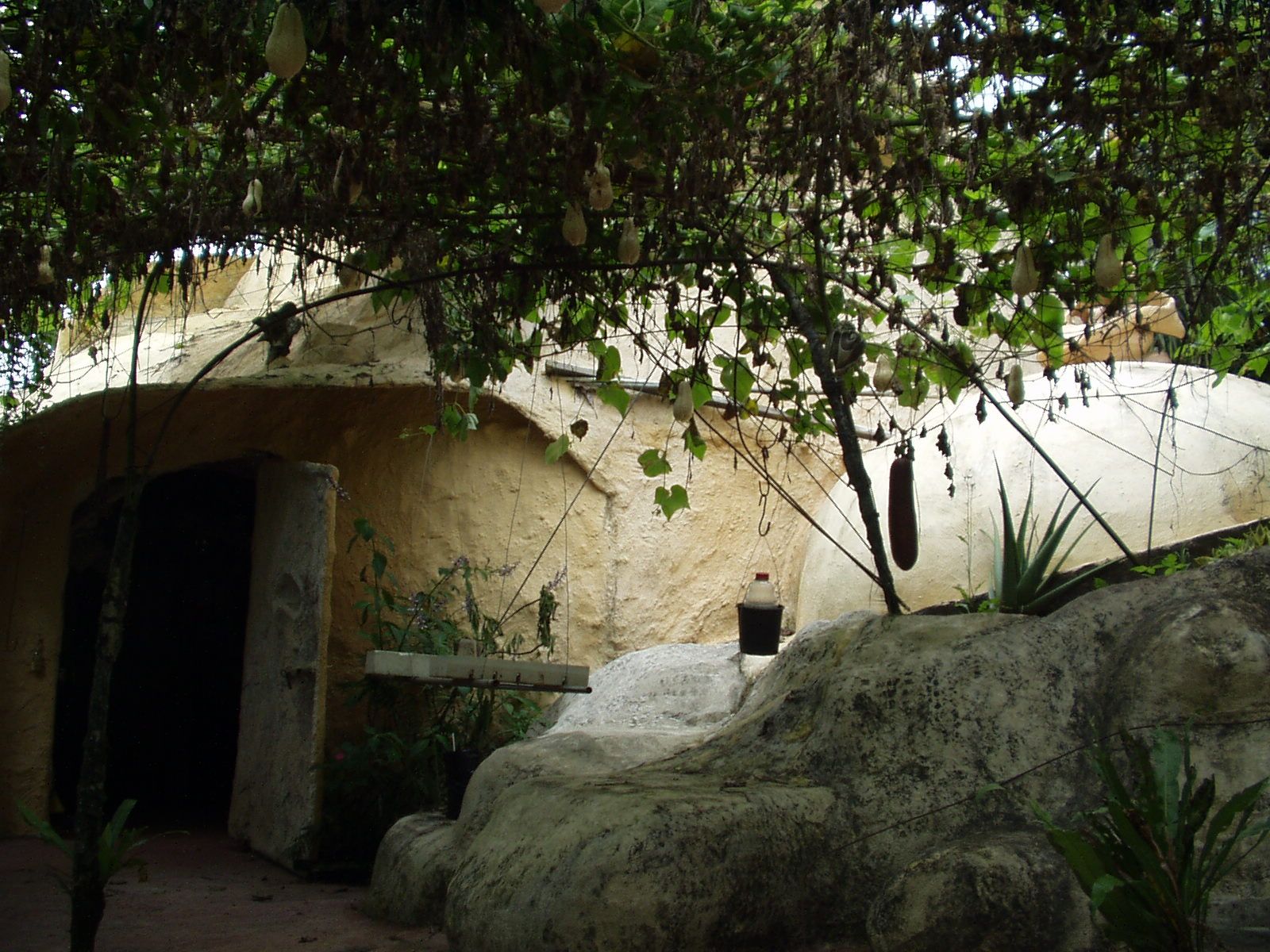 A REBAR TRELLIS - for Home and Garden : 9 Steps - Instructables