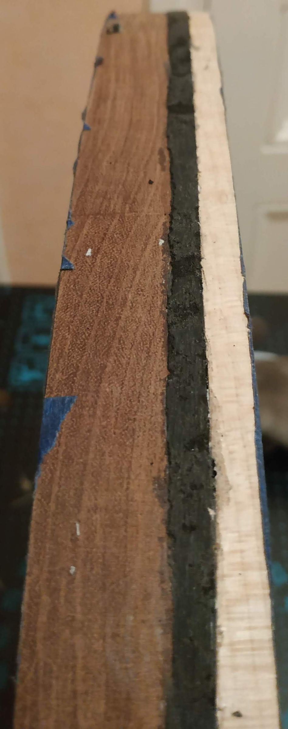 Building a Guitar: Telecaster Thinline : 12 Steps (with Pictures ...