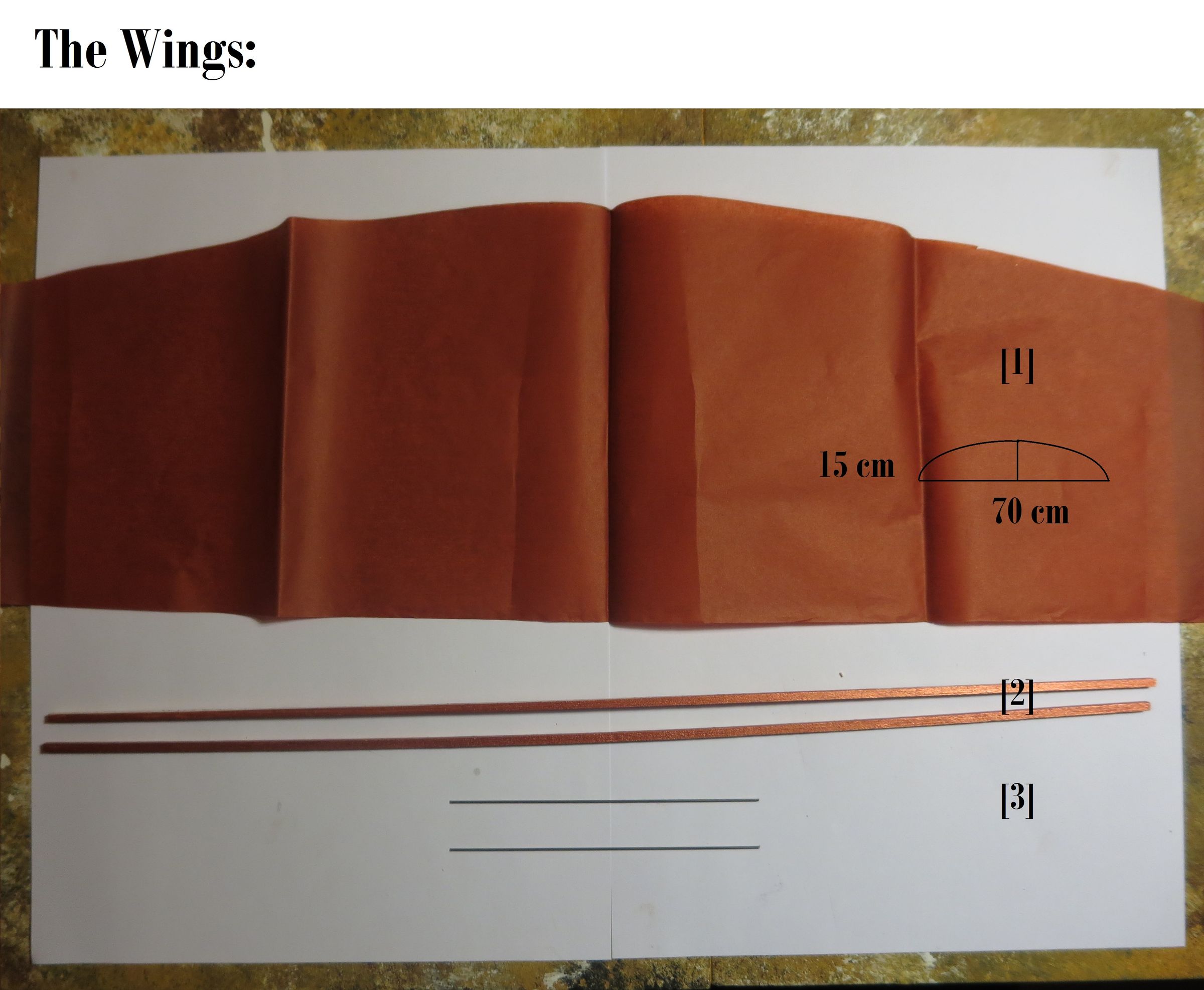 Rubber Band Ornithopter Airplane : 6 Steps - Instructables