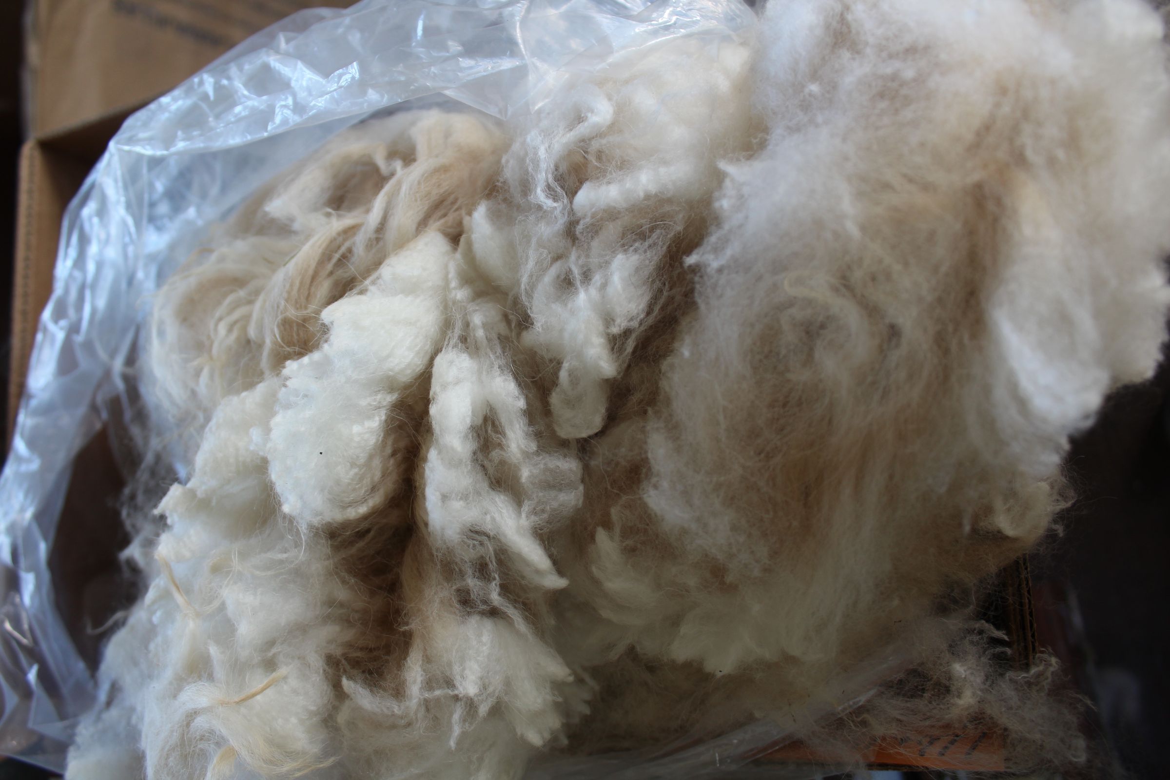 Carding Fiber : 6 Steps (with Pictures) - Instructables