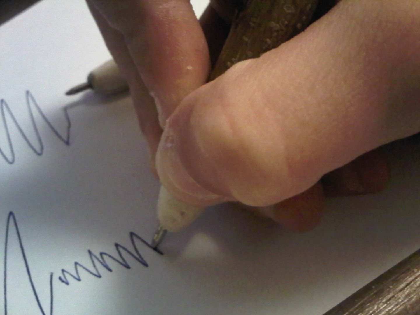 HOMEMADE BRANCH PEN!!! - Instructables