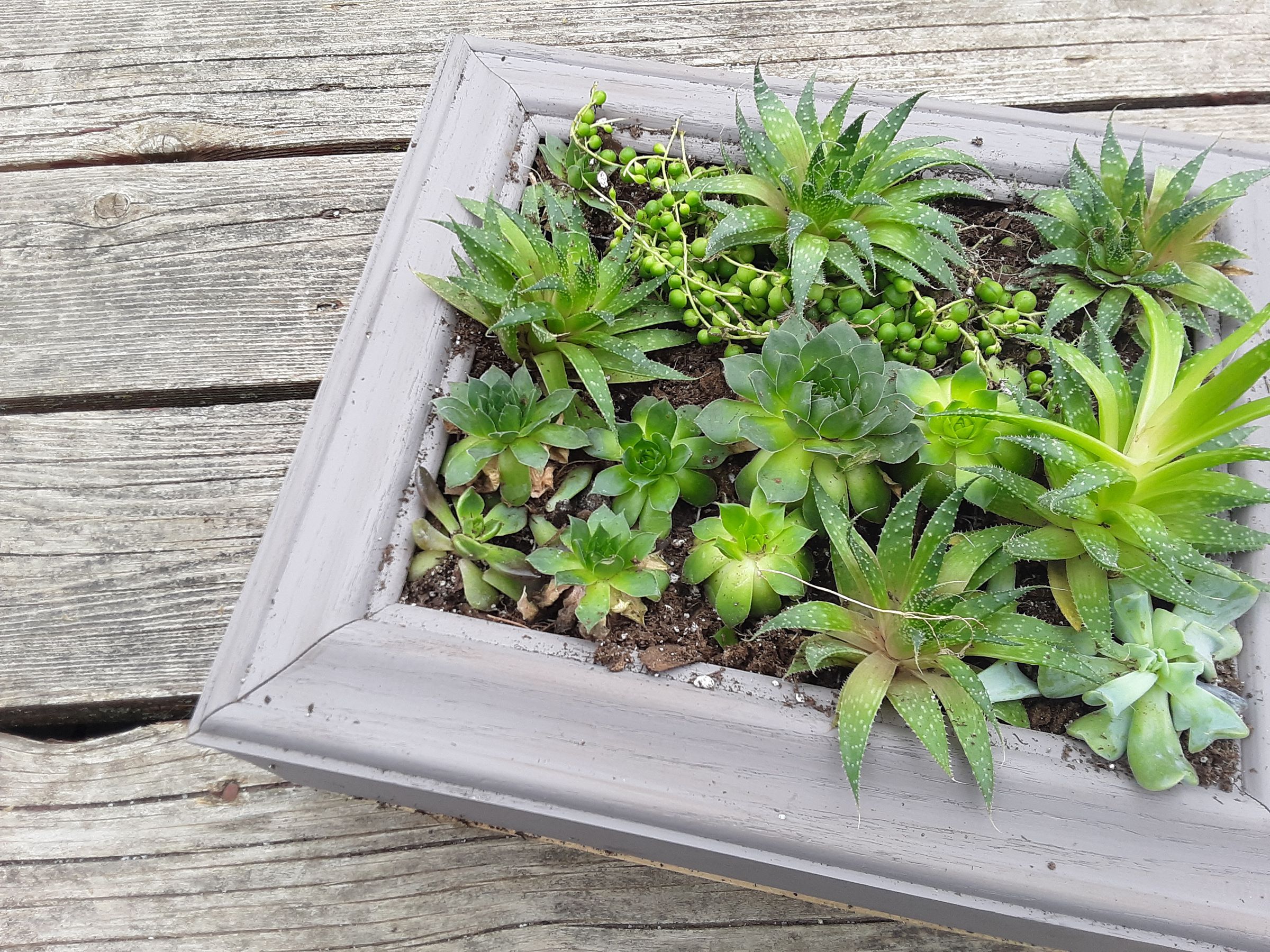 Living Picture Frame : 9 Steps (with Pictures) - Instructables