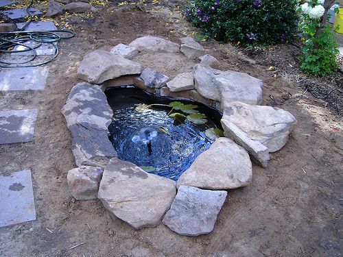 How to Build a Fish Pond or Garden Pond : 6 Steps (with Pictures ...