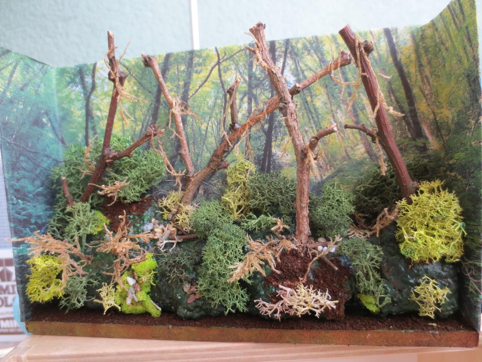 Firefly Forest : 7 Steps (with Pictures) - Instructables