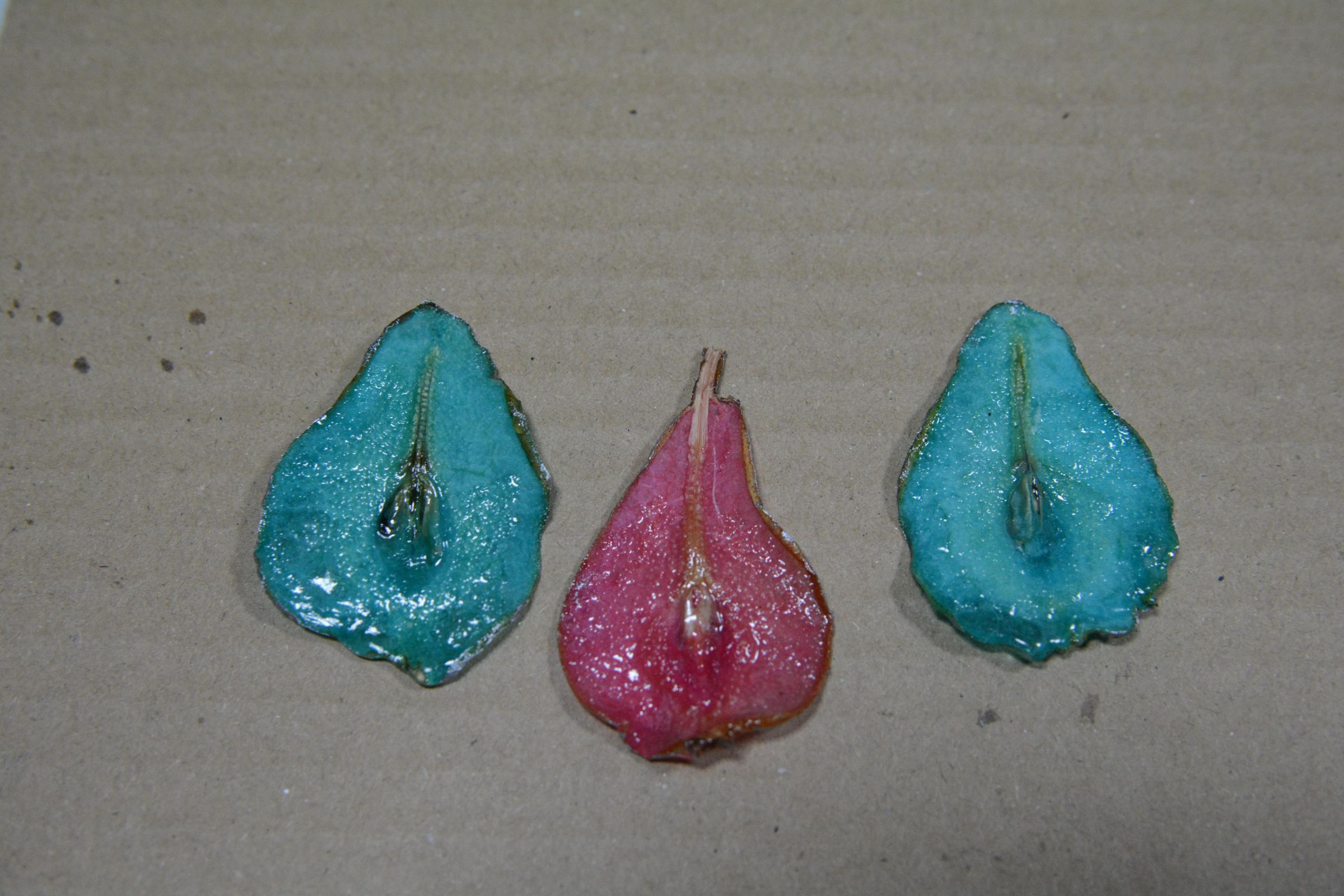 Resin Hardened, Coloured and Sliced Pear Earrings : 9 Steps - Instructables