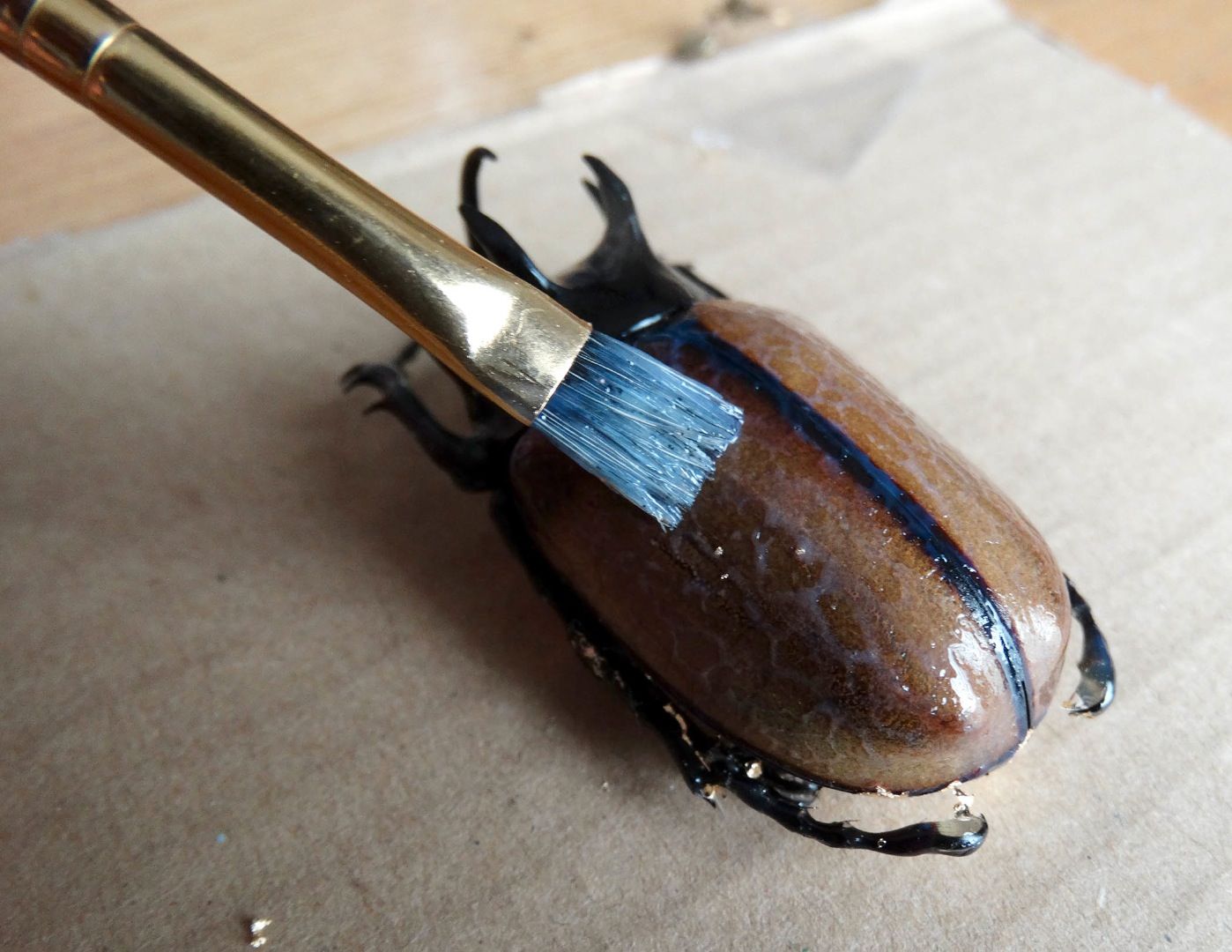 Preparing and Gilding a Real Insect : 10 Steps (with Pictures ...