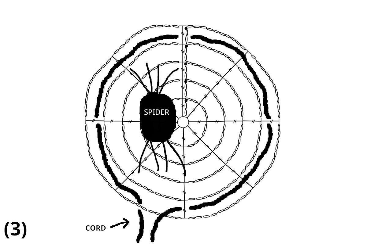 🕸️Crochet Spider Web Bun Cover🕸️ : 10 Steps (with Pictures) - Instructables