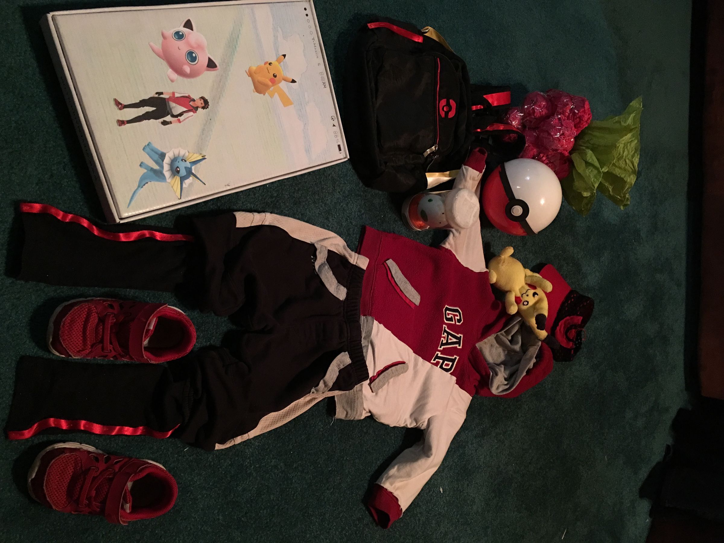 Pokemon Go Trainer Toddler Edition : 5 Steps (with Pictures ...