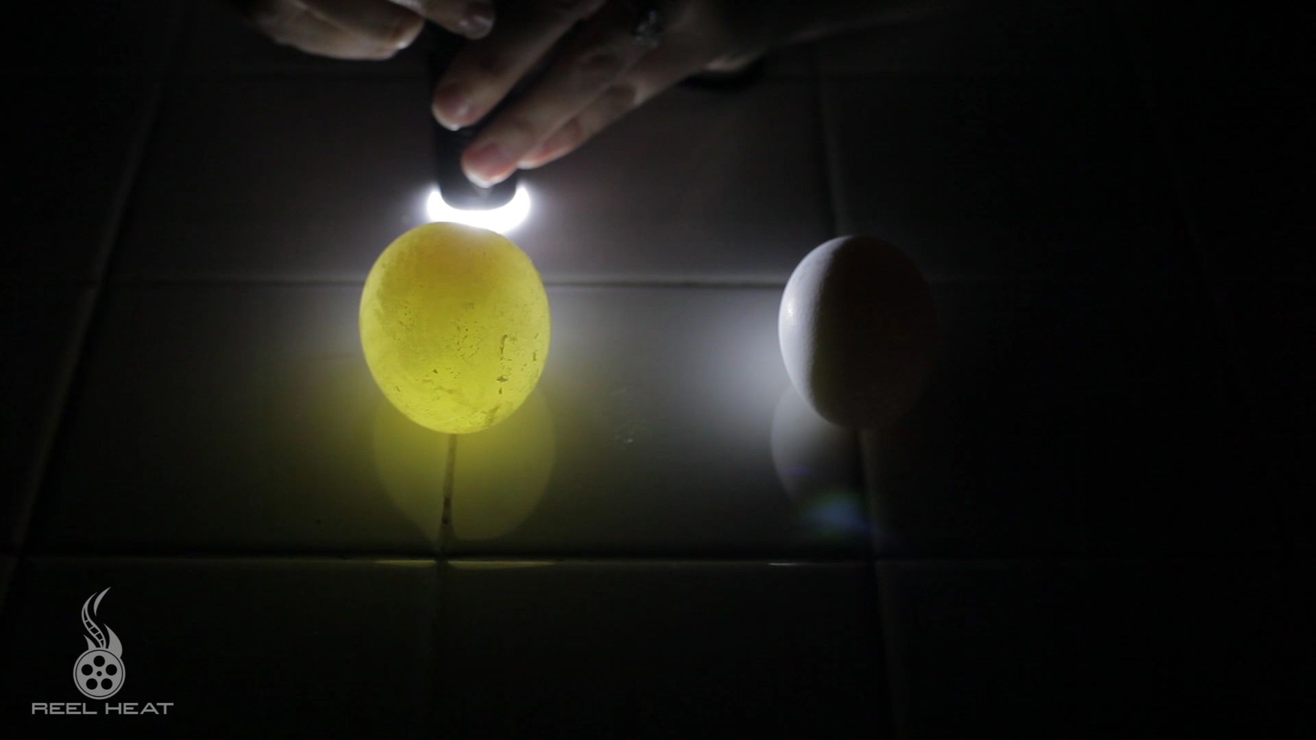 5 Awesome Egg Experiments : 5 Steps (with Pictures) - Instructables