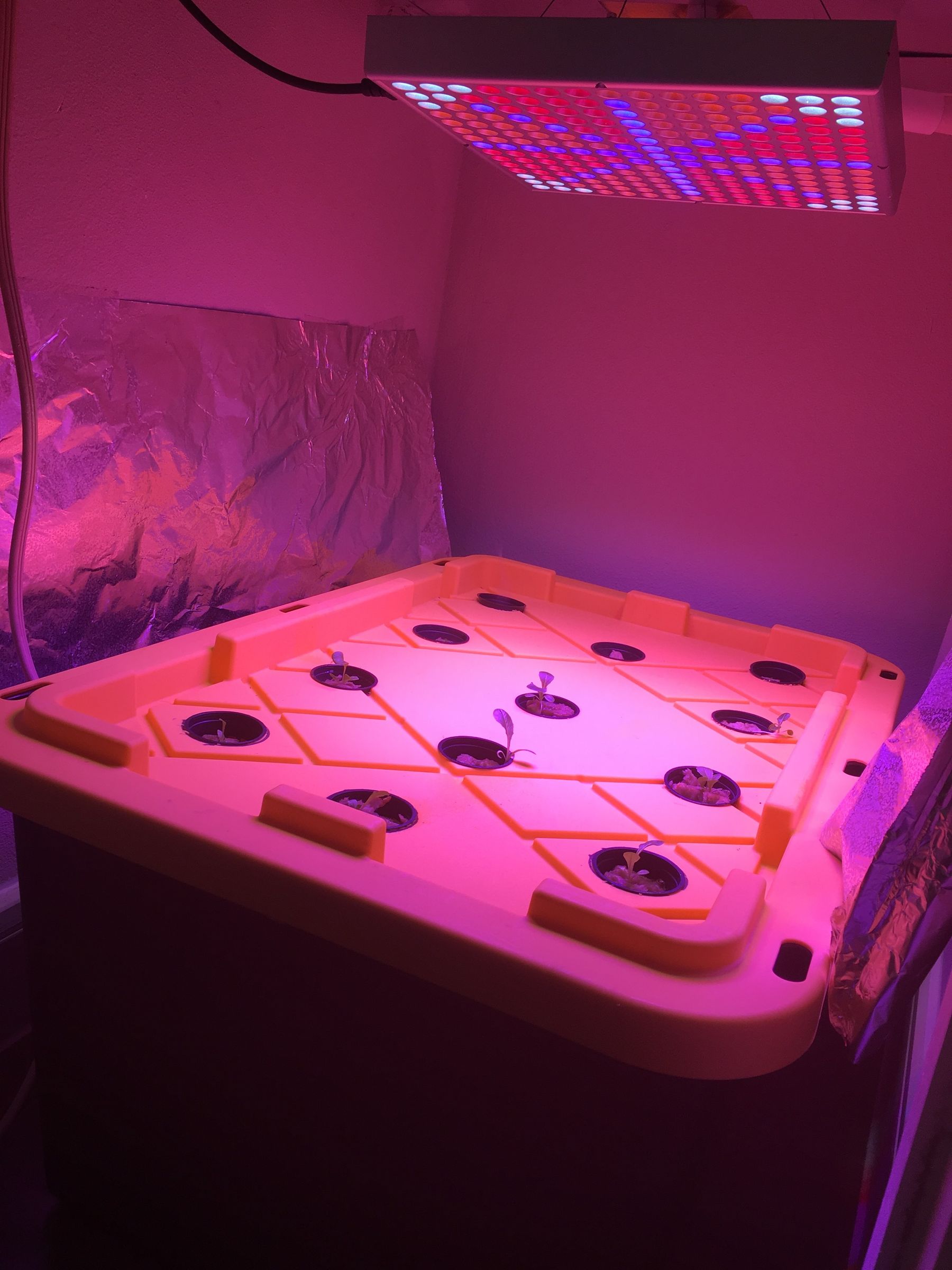 TRUE Aeroponics - Simple Indoors Low Water Lettuce Growing Fogponics ...