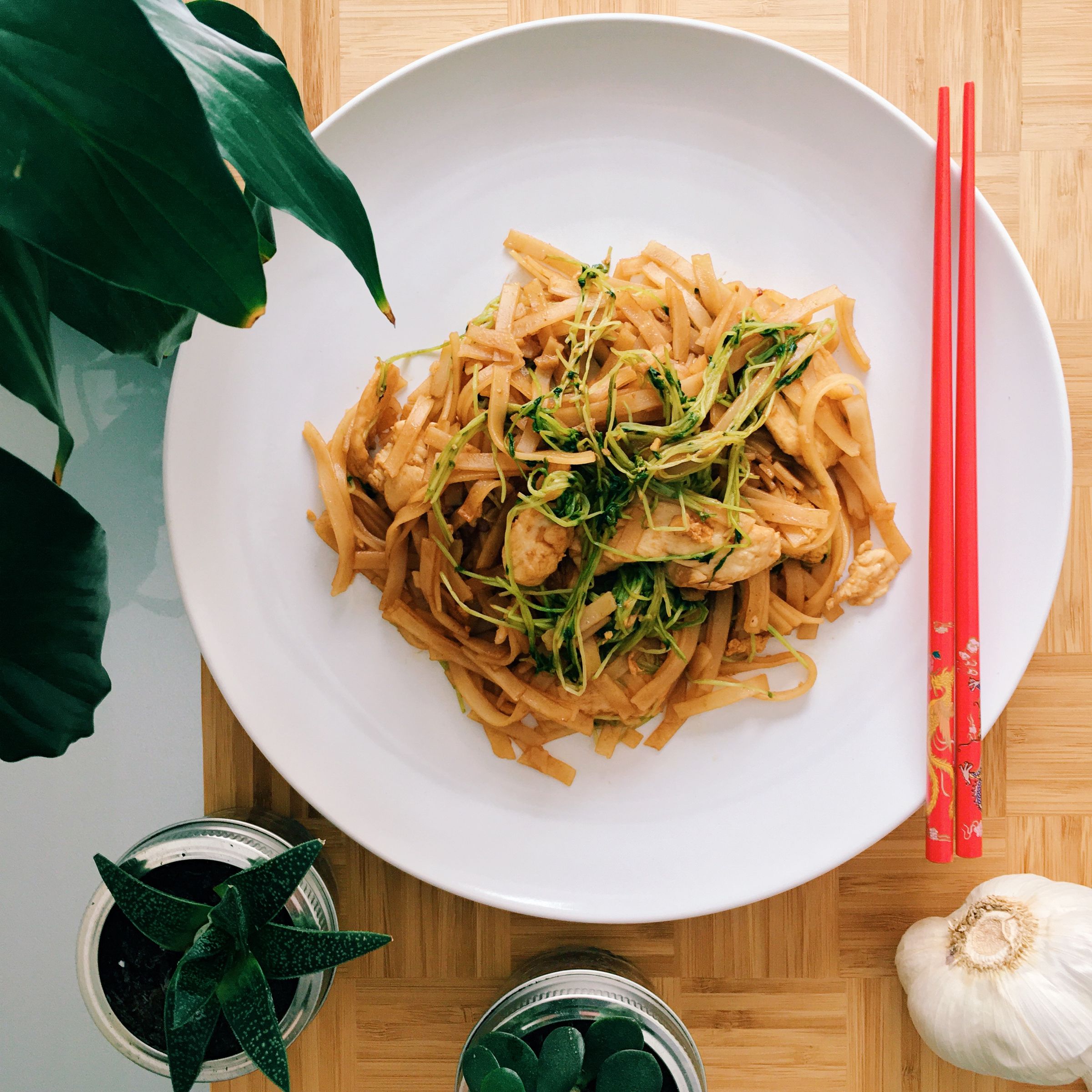 RECIPE | CHICKEN PAD SEW - Instructables