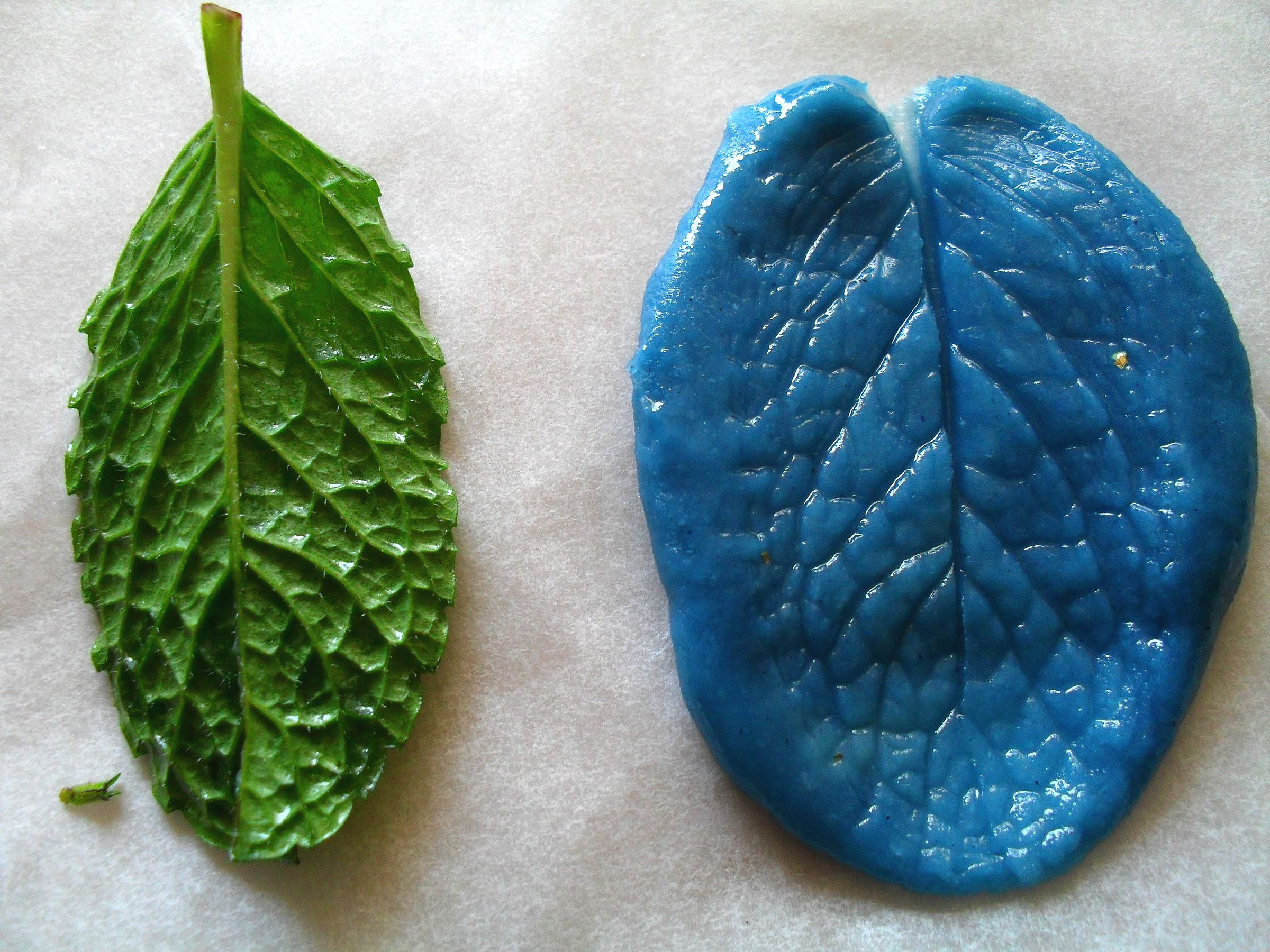 Easy Mold Making : 3 Steps (with Pictures) - Instructables