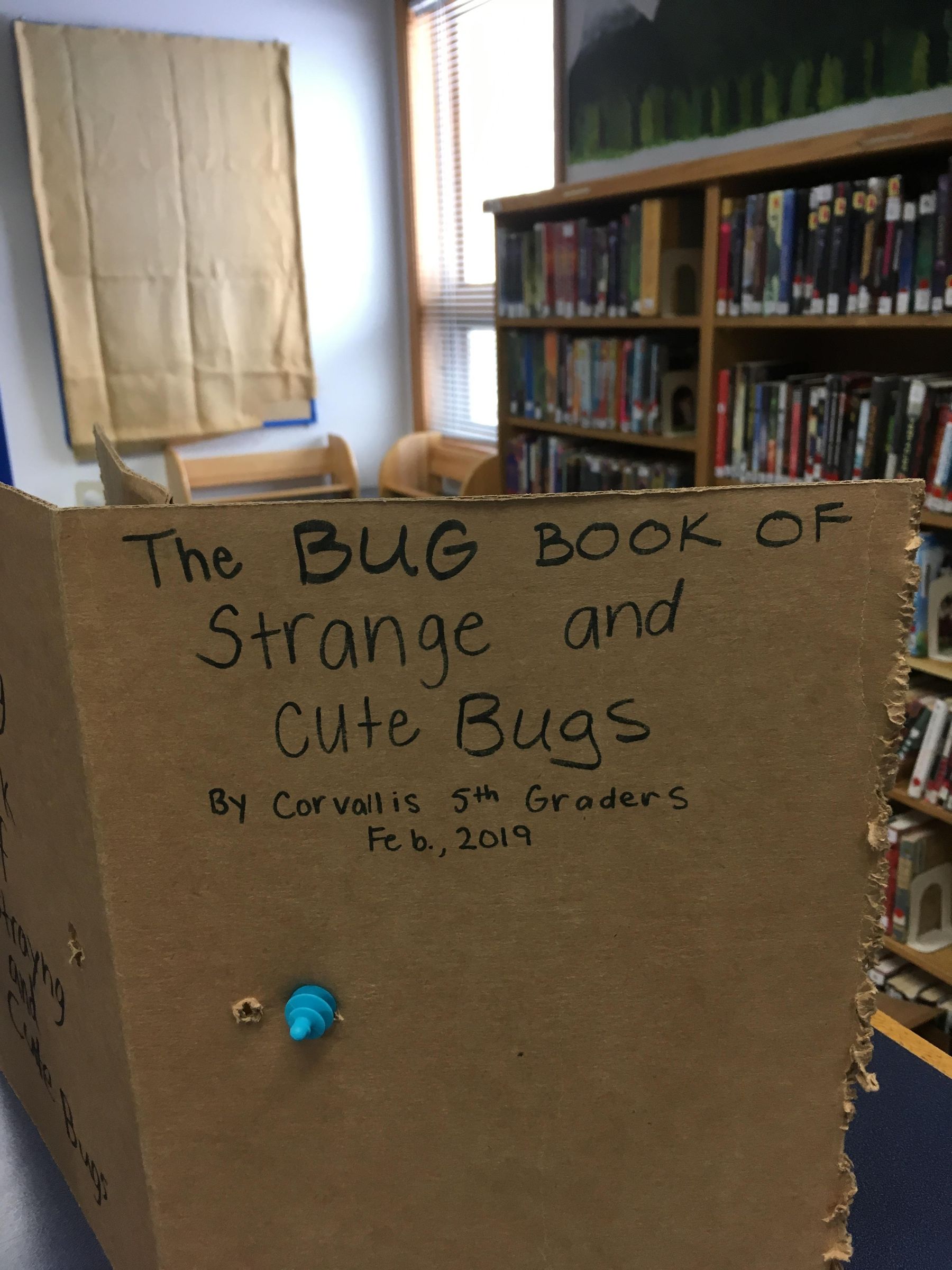 Makedo Cardboard Construction in the Classroom : 4 Steps (with Pictures ...