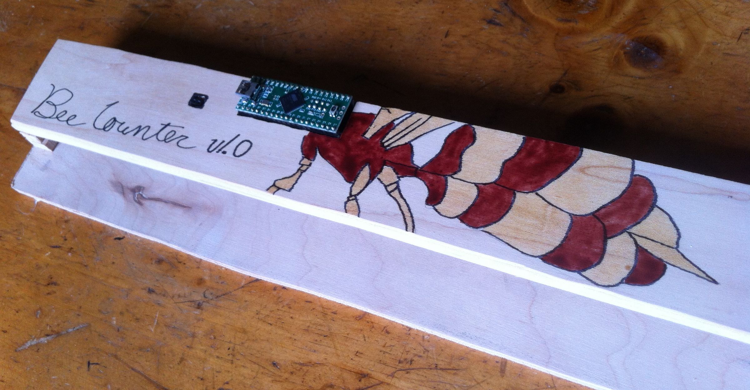 Honey Bee Counter : 4 Steps (with Pictures) - Instructables