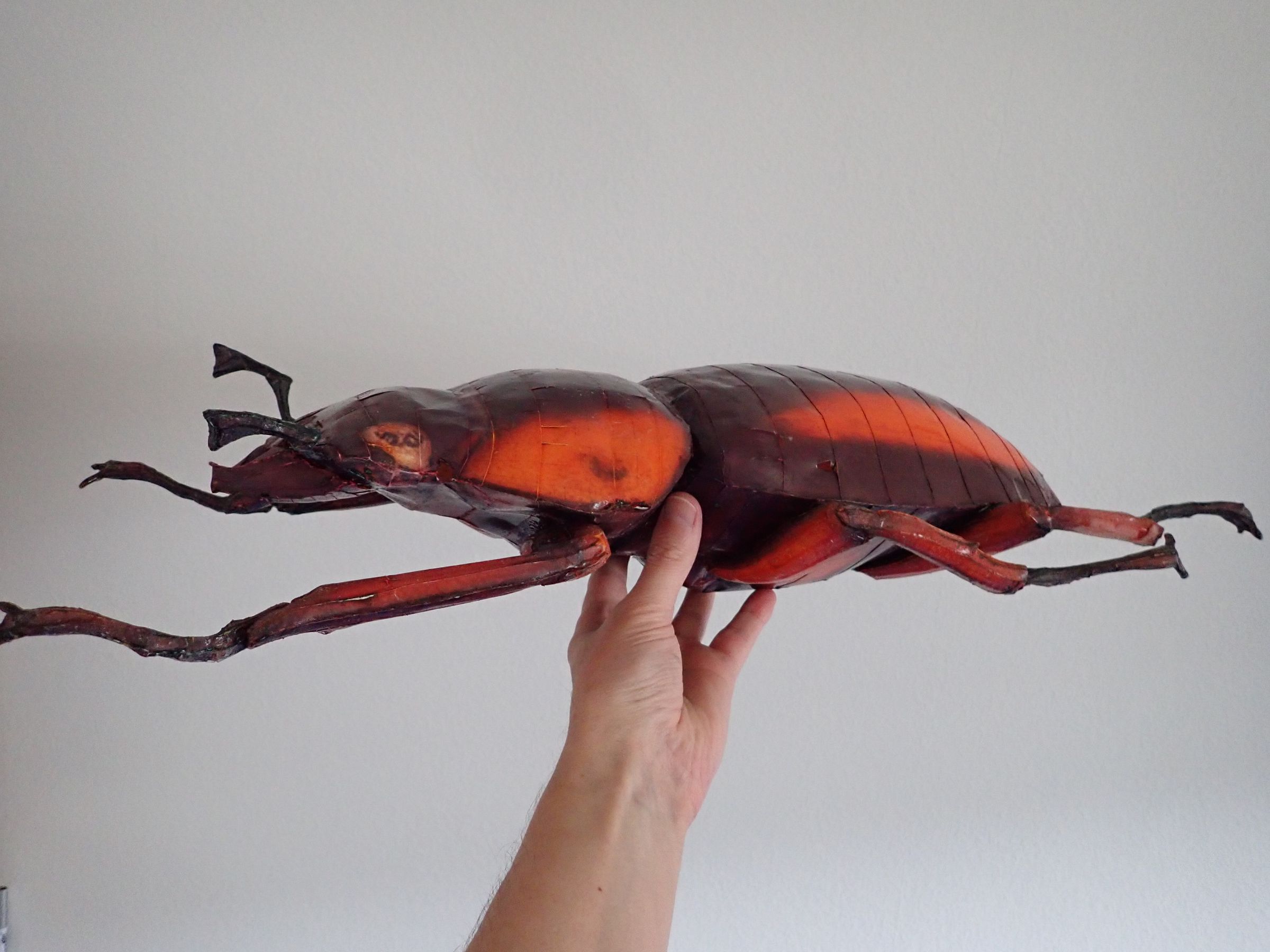 Build an Accurate Animal Paper Model : 5 Steps (with Pictures ...