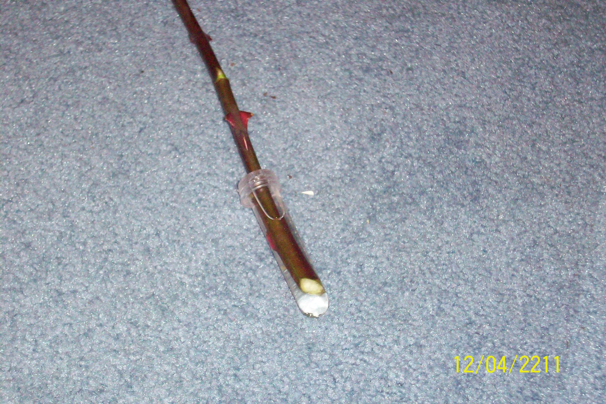 How to Make a Flower Wrap the Right Way. : 6 Steps - Instructables