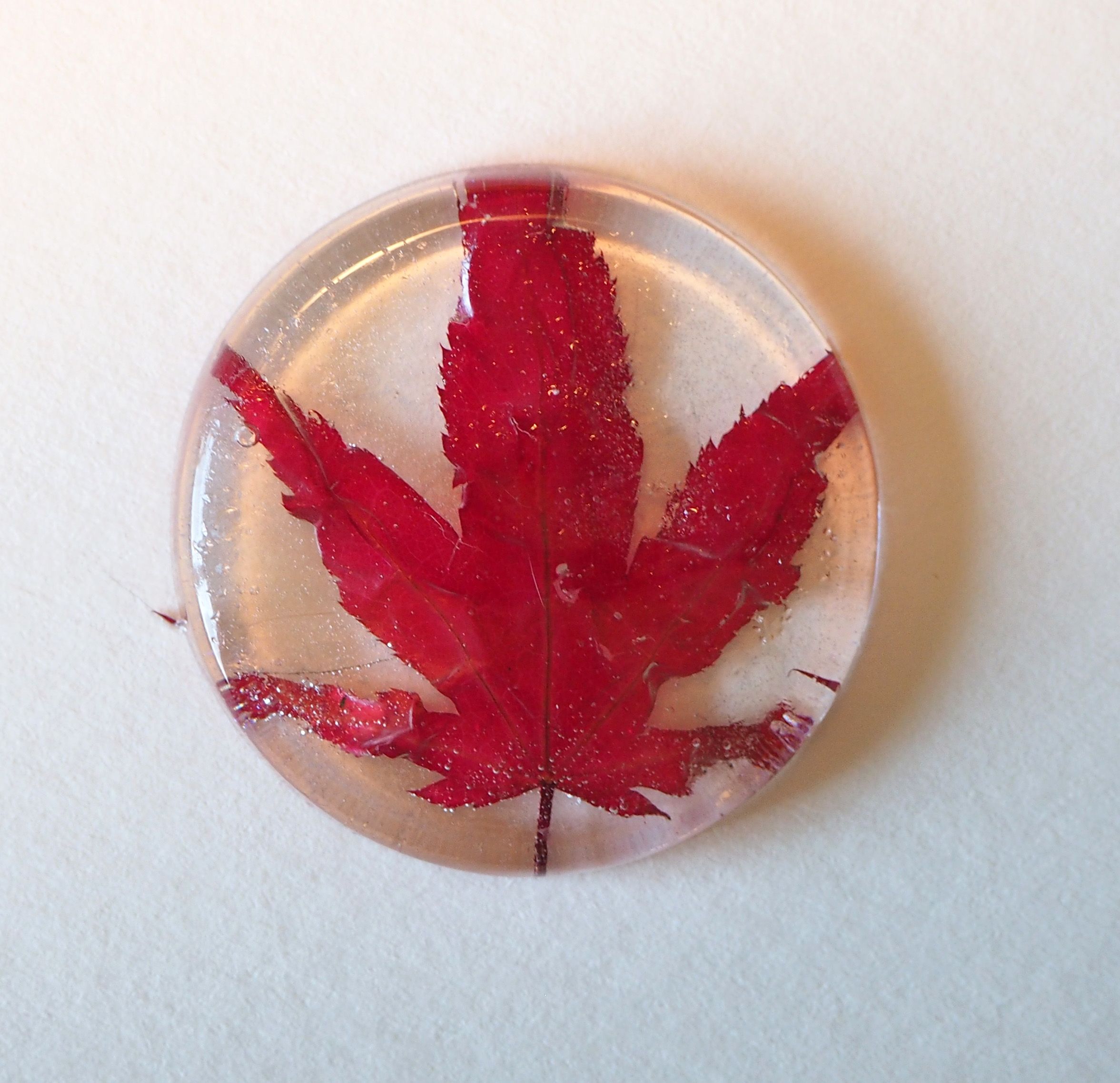 Techniques to Embed Flowers in Resin : 12 Steps (with Pictures ...