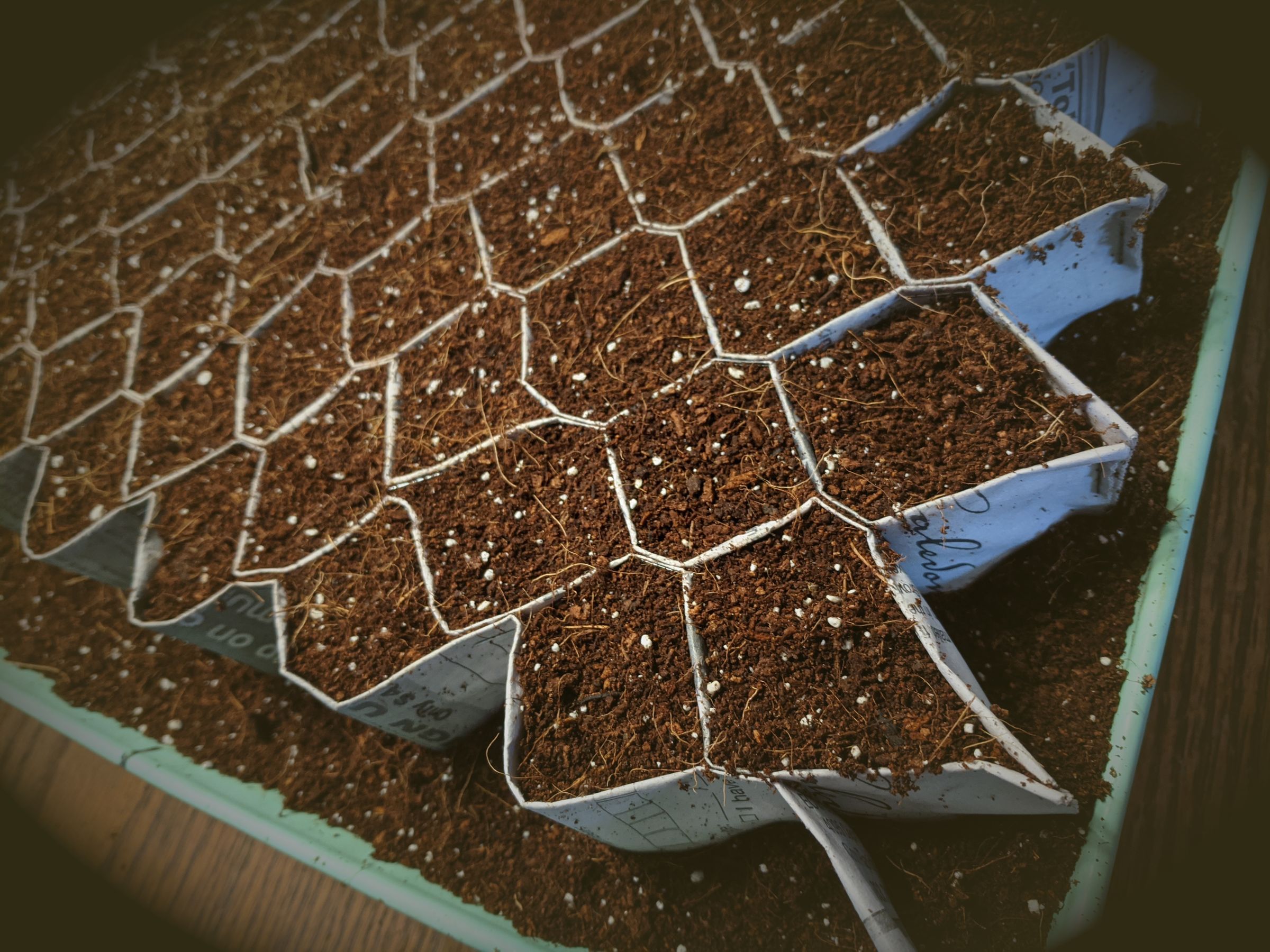 Seedling Tray Insert : 9 Steps (with Pictures) - Instructables