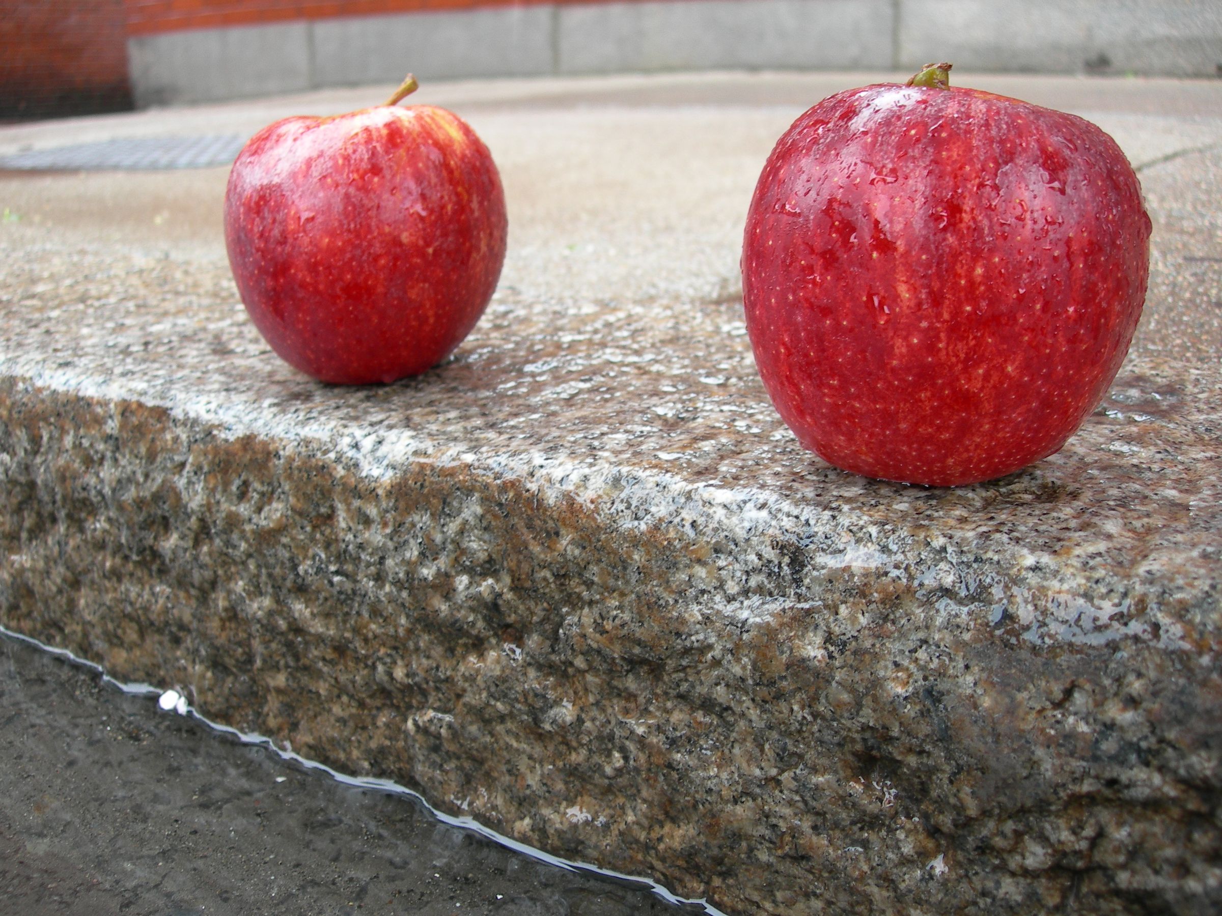 (easily) Etch Images in Copper : 9 Steps - Instructables