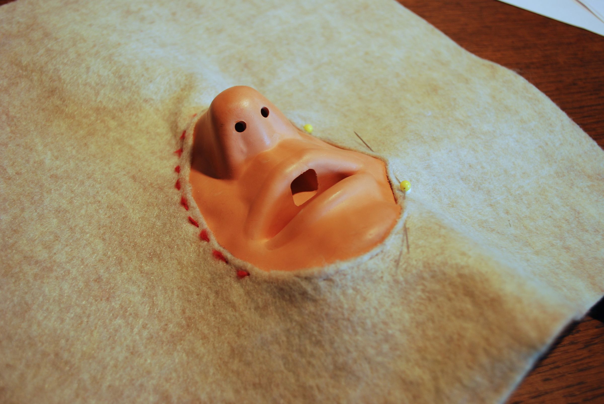 Make-Out Practice Pillow for Valentine's Day : 5 Steps (with Pictures ...