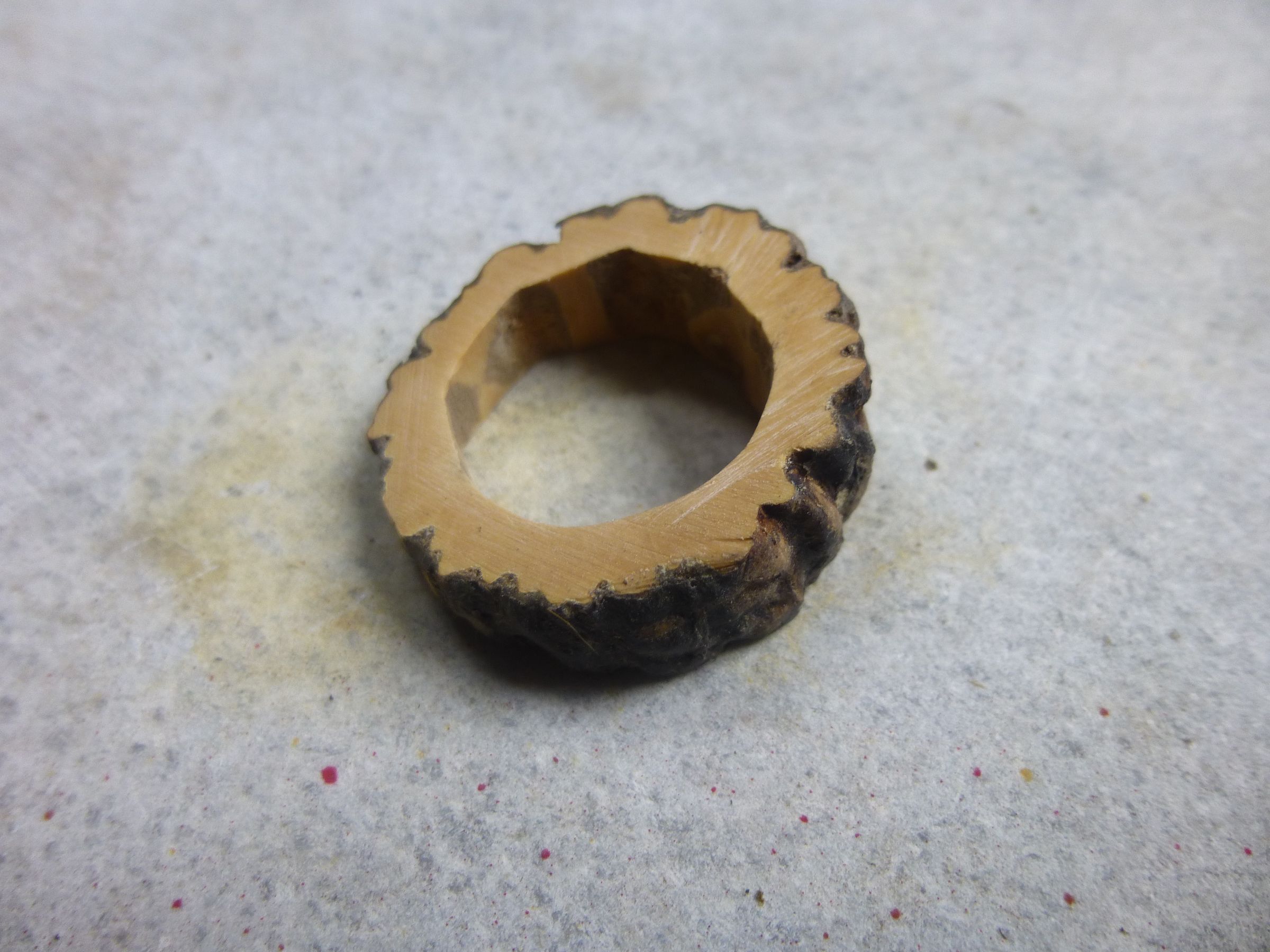Black Walnut Seed Ring. : 4 Steps (with Pictures) - Instructables