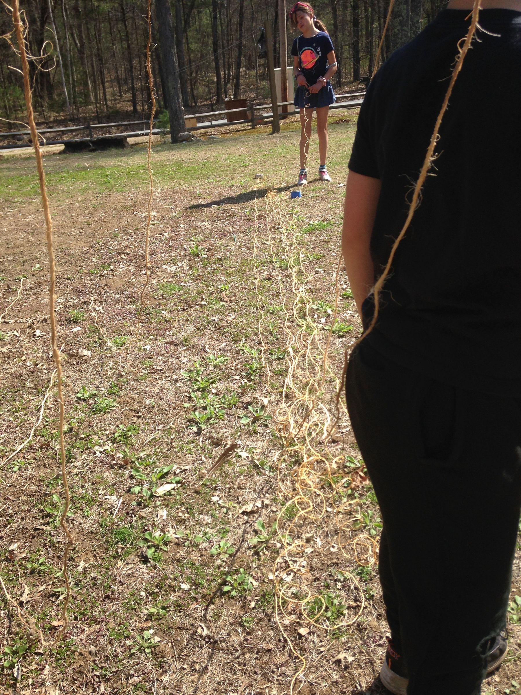 Growing Hops at Home : 9 Steps (with Pictures) - Instructables