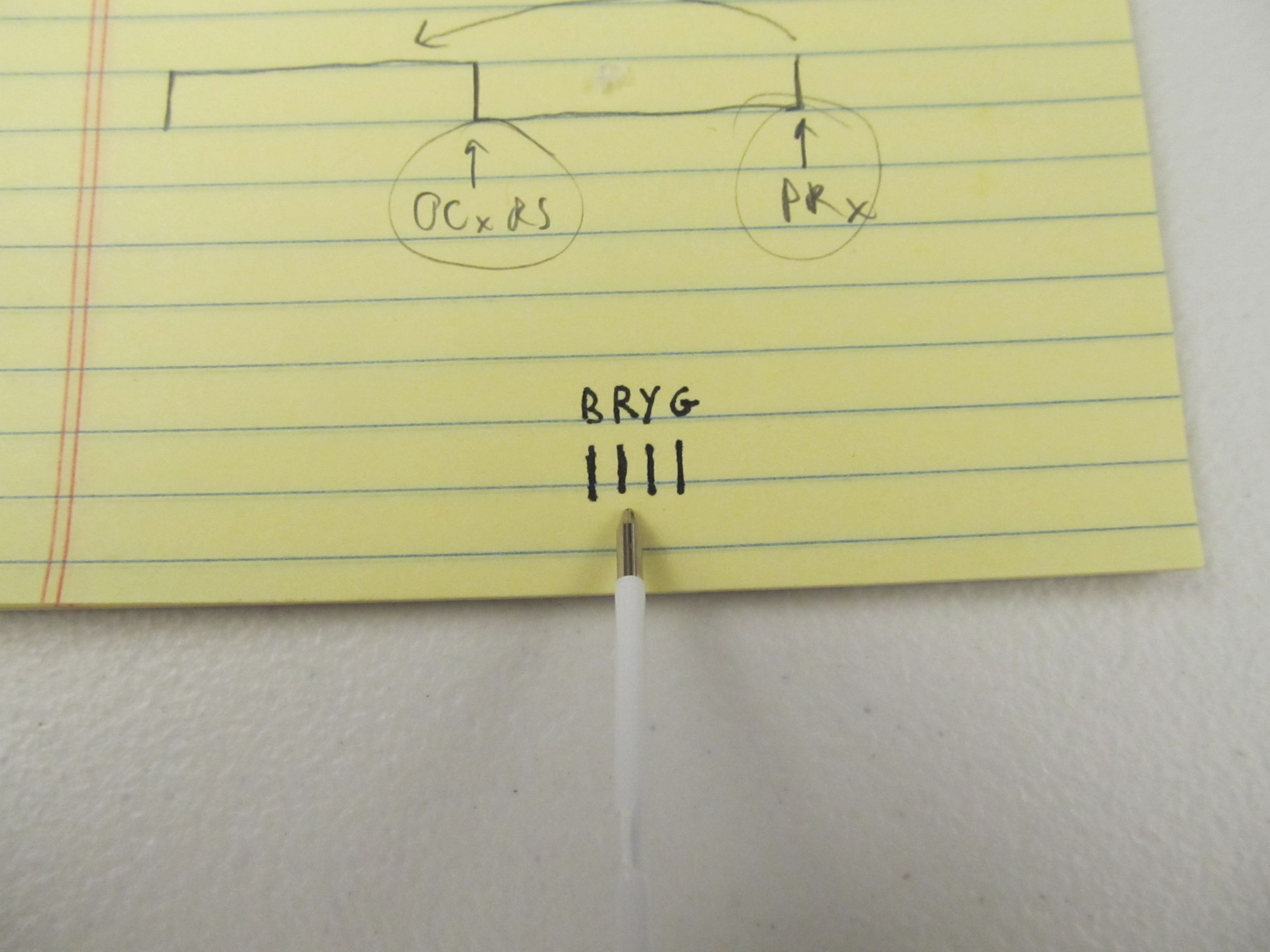 Identifying Stepper Wiring With the Pmod STEP : 18 Steps (with Pictures ...
