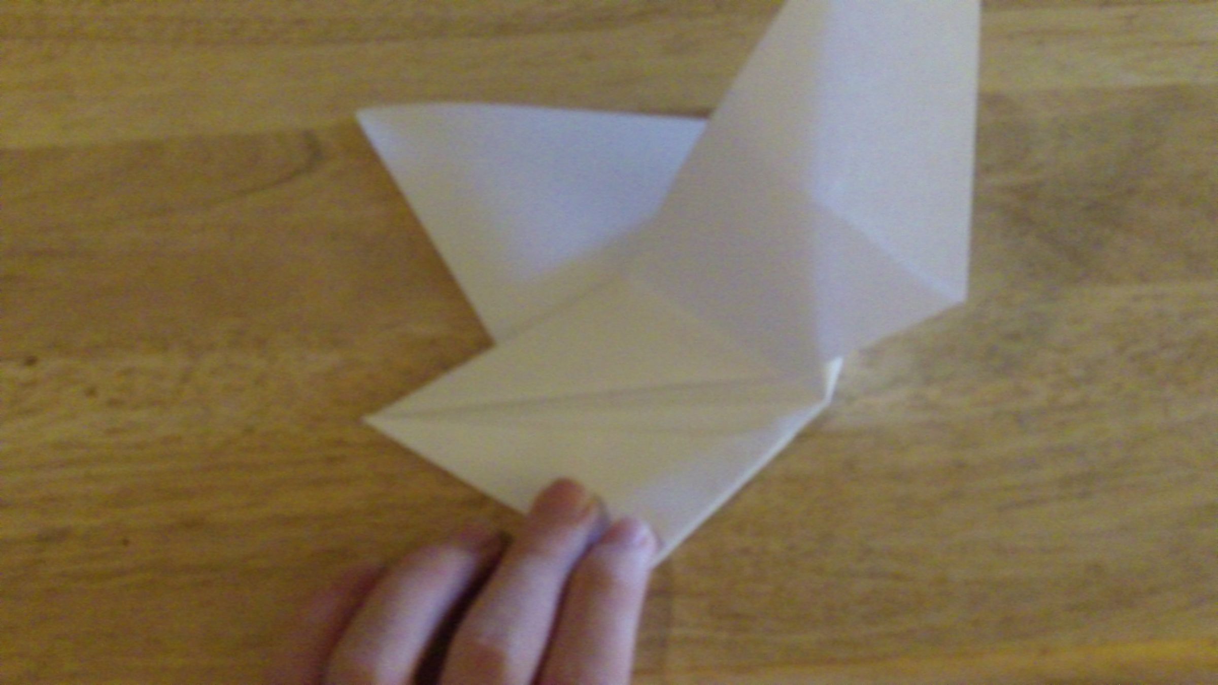 How to Make the Pelican Paper Airplane : 10 Steps - Instructables