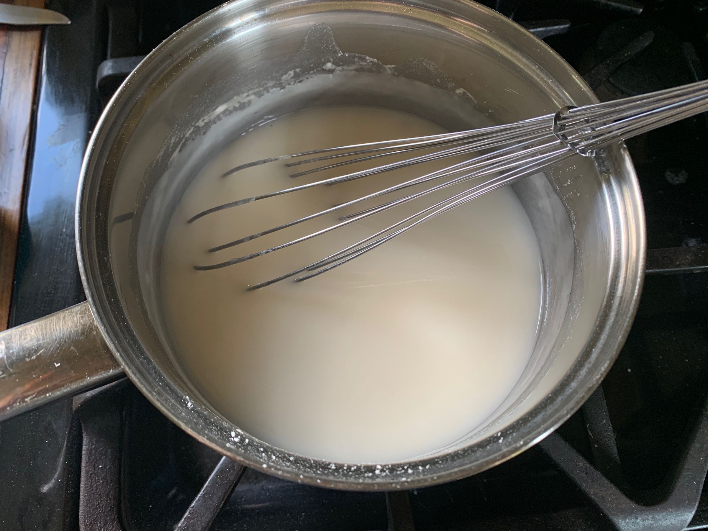 Supersized Paper-Mache House Plant : 8 Steps (with Pictures ...