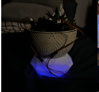 LED Plant Hydration Tracker : 4 Steps (with Pictures) - Instructables