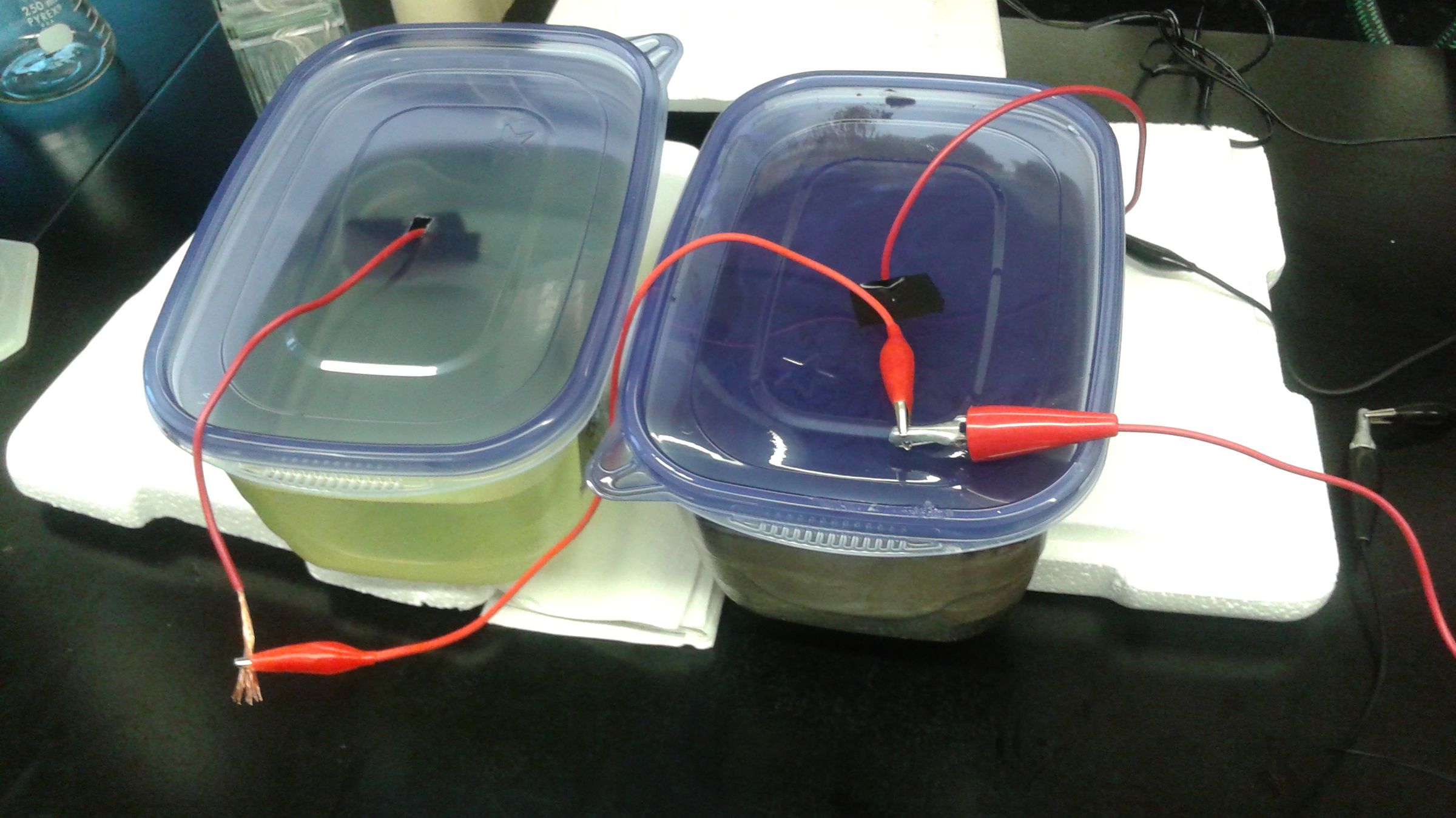 Make a Microbial Fuel Cell : 4 Steps - Instructables