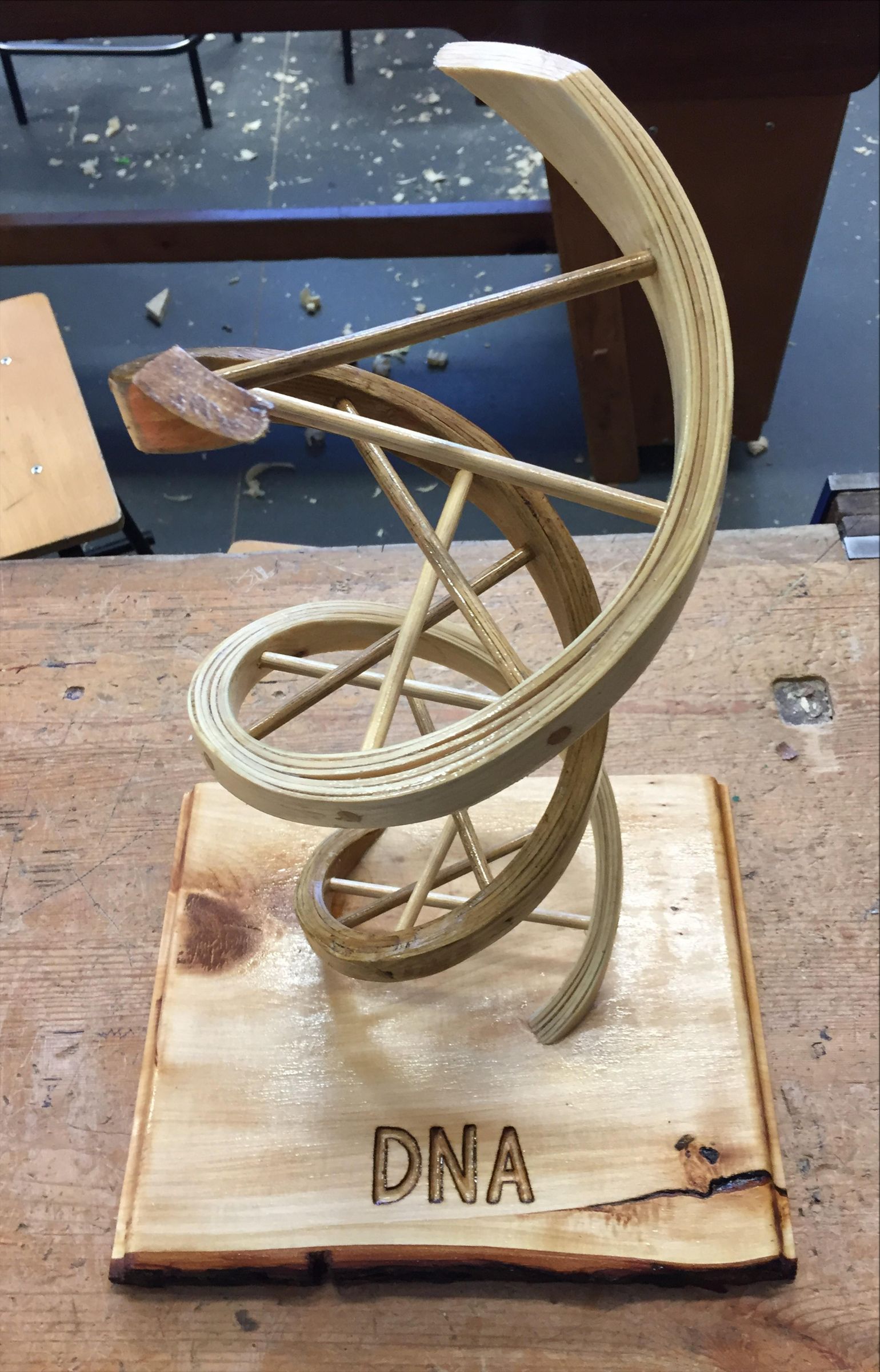 Laminated Plywood DNA Model : 12 Steps (with Pictures) - Instructables